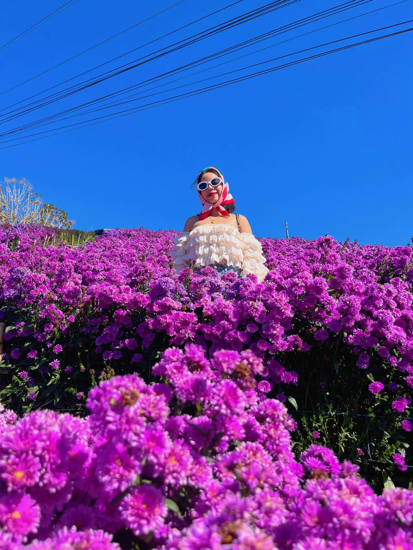 คาเฟ่สุดฮิต ! ไฮเดรนเยียคาเฟ่ เขาค้อ | แกลเลอรีที่โพสต์โดย Wee Weerawan ...