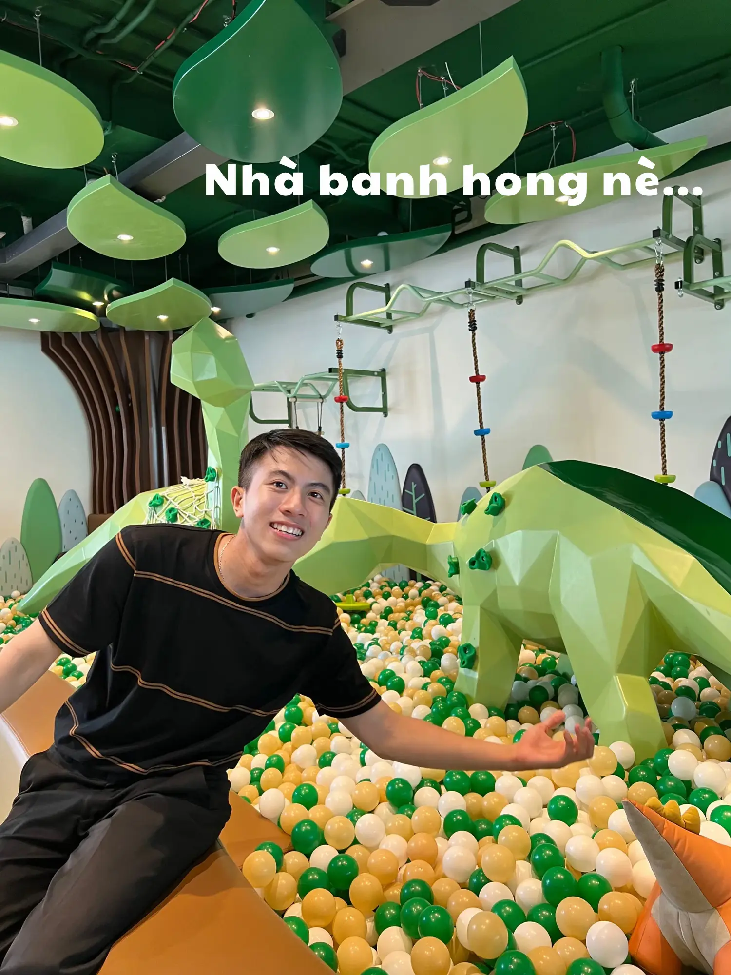 THIÊN ĐƯỜNG KHỦNG LONG TRONG NHÀ KÍN | Bộ sưu tập do Theo chân Huy đăng | Lemon8