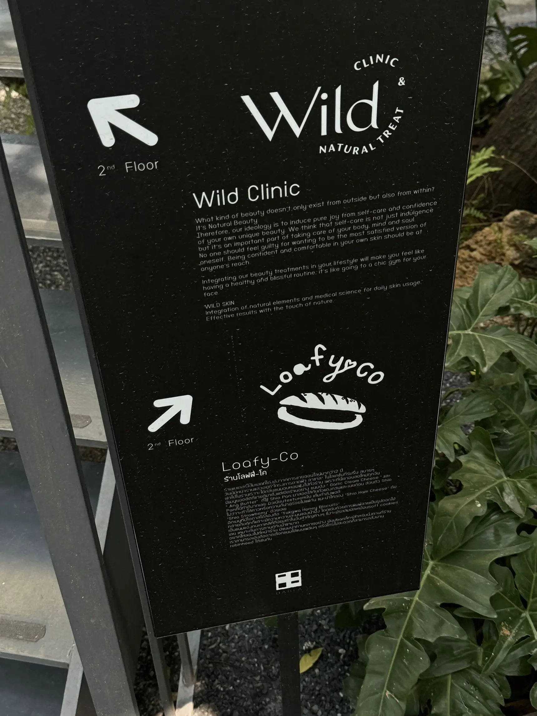 Loafy.co ชิโอะปังร้านดังย่านลาซาล รีวิวที่จริงใจ 🥐🥖👀 | แกลเลอรีที่โพสต์ ...