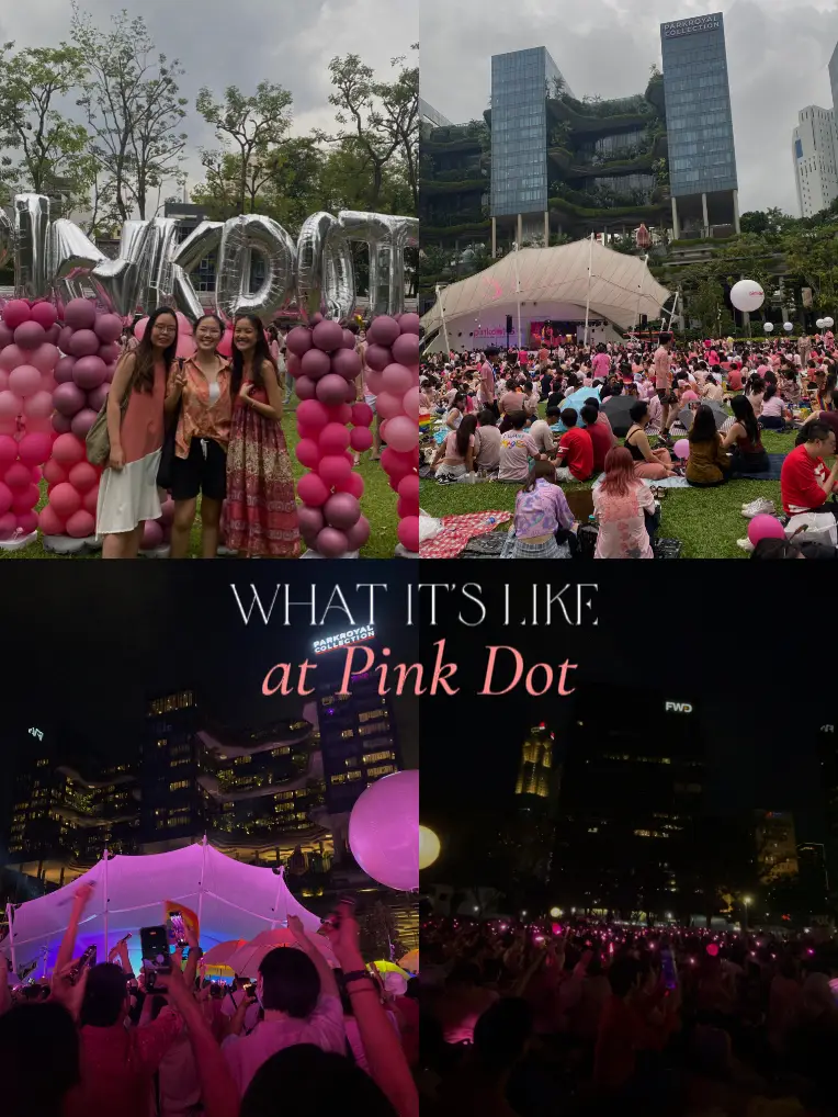 my FIRST experience at Pink Dot 🌺 | Gallery posted by jean ･ﾟ: * | Lemon8