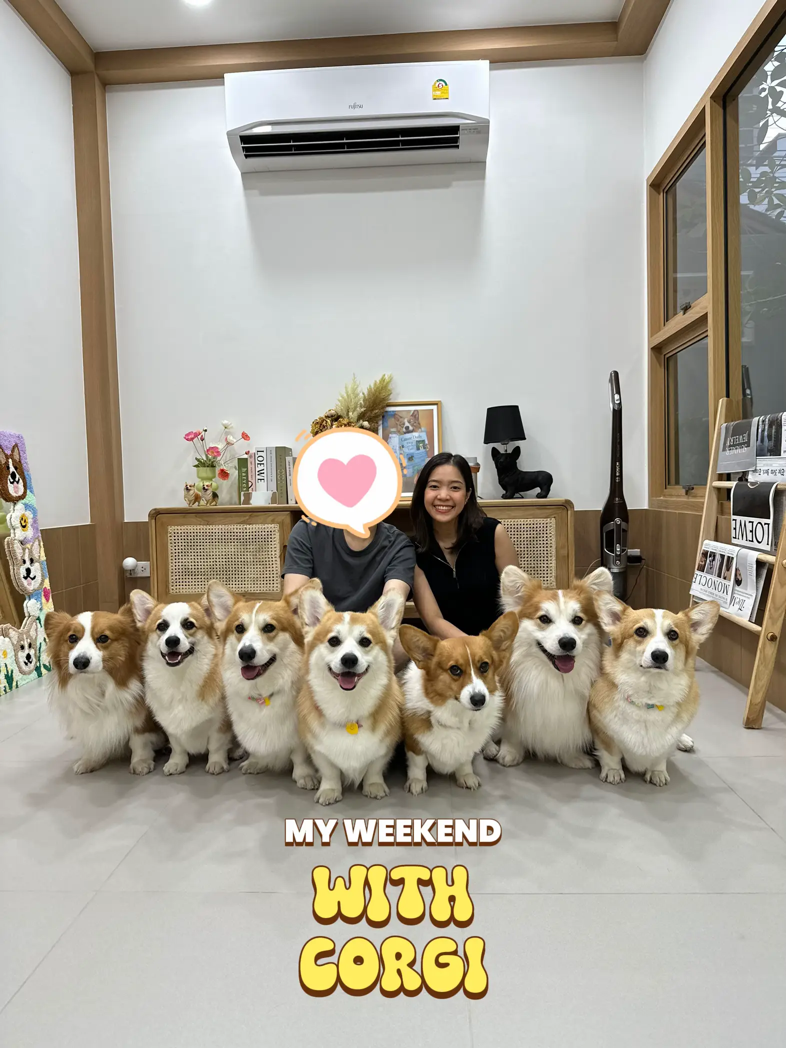 ร้านคาเฟ่น้องหมาคอร์กี้ Corgi Alley ย่านอ่อนนุช | แกลเลอรีที่โพสต์โดย Baimonji🌷 | Lemon8