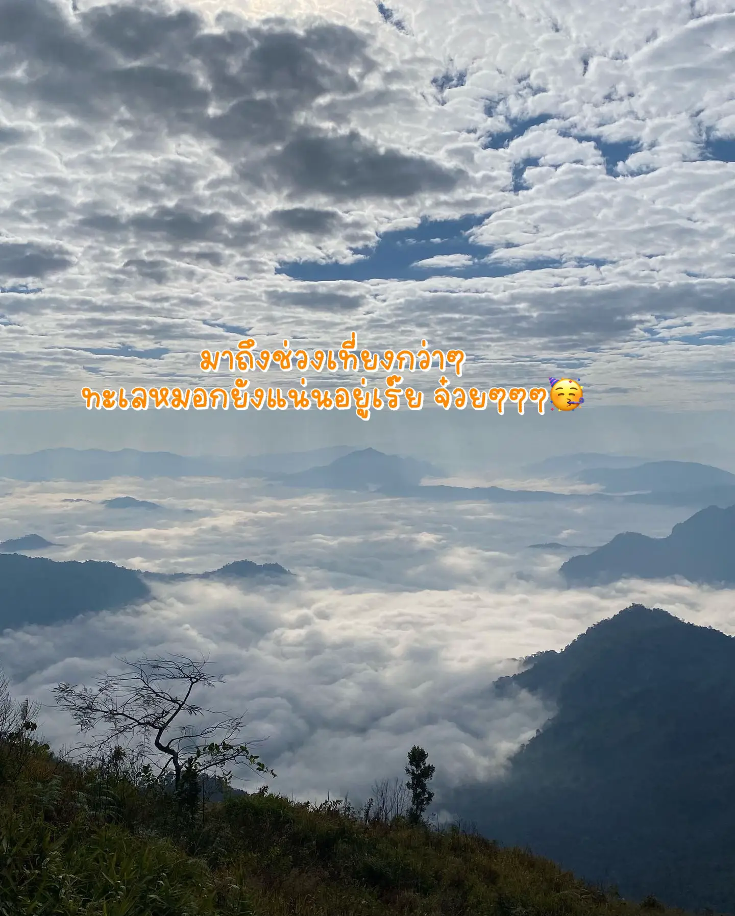 ตะลุยภูชี้ดาว & ภูชี้ฟ้า จ.เชียงราย29-30Dec2023 | แกลเลอรีที่โพสต์โดย TIIK_Nipa | Lemon8