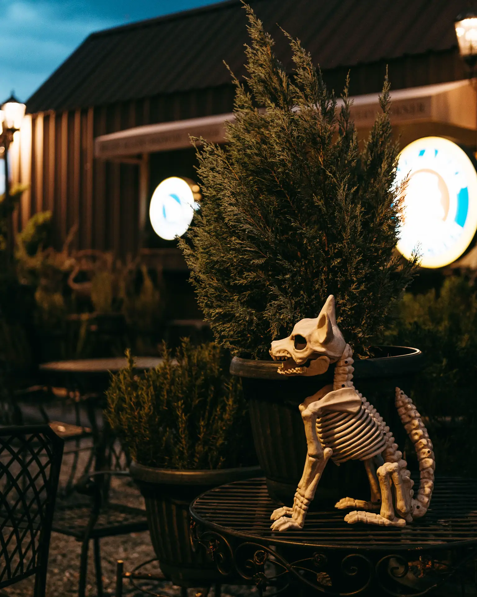 สัมผัสบรรยากาศแบบหลอนๆ แต่แฝงความหรูหรา ที่ BEGIN AGAIN | Gallery posted by Rattomarty | Lemon8