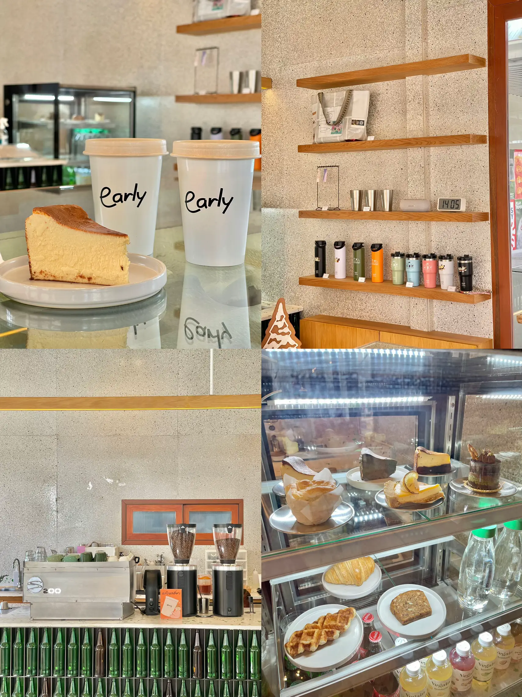 Early bkk คาเฟ่รักษ์โลก ย่านรามอินทรา น้องหมาเข้าได้ 🌍🐶🐾 | แกลเลอรีที่ ...