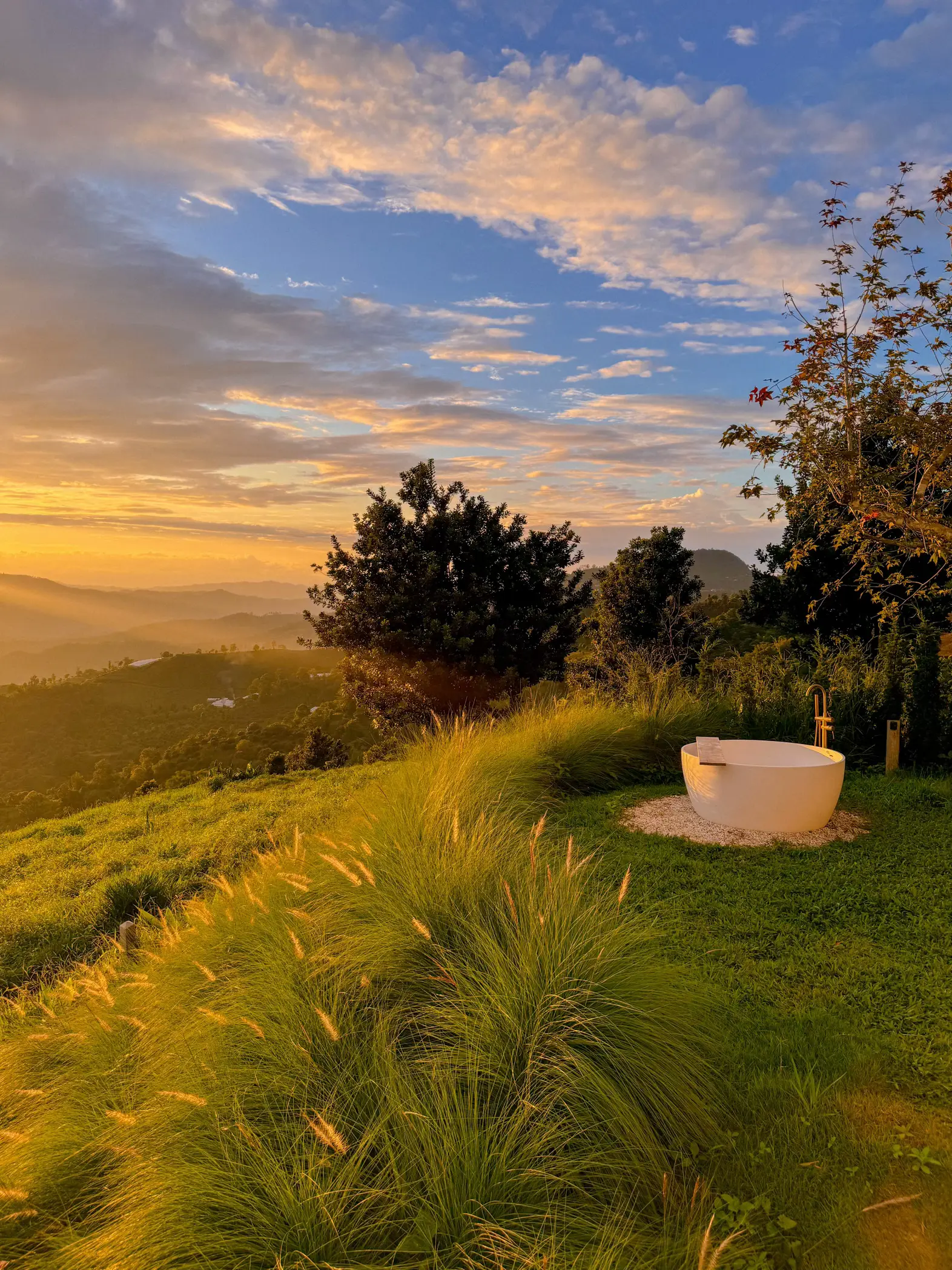 Panamon ดอยช้าง เชียงราย | แกลเลอรีที่โพสต์โดย Sunny Rung | Lemon8