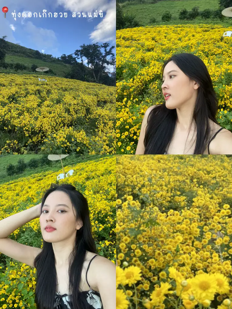 ไปฮีลใจ 1 วัน ที่ห้วยกุ๊บกั๊บ 📍เชียงใหม่ | แกลเลอรีที่โพสต์โดย Prae Irin | Lemon8