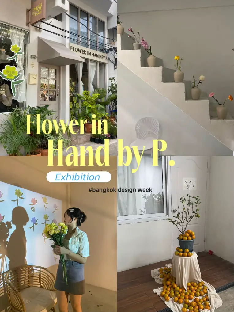 The dancing flower 💐🥹 ดอกไม้เต็มไปหมด 💌 | แกลเลอรีที่โพสต์โดย wchaya🐋🫧 ...