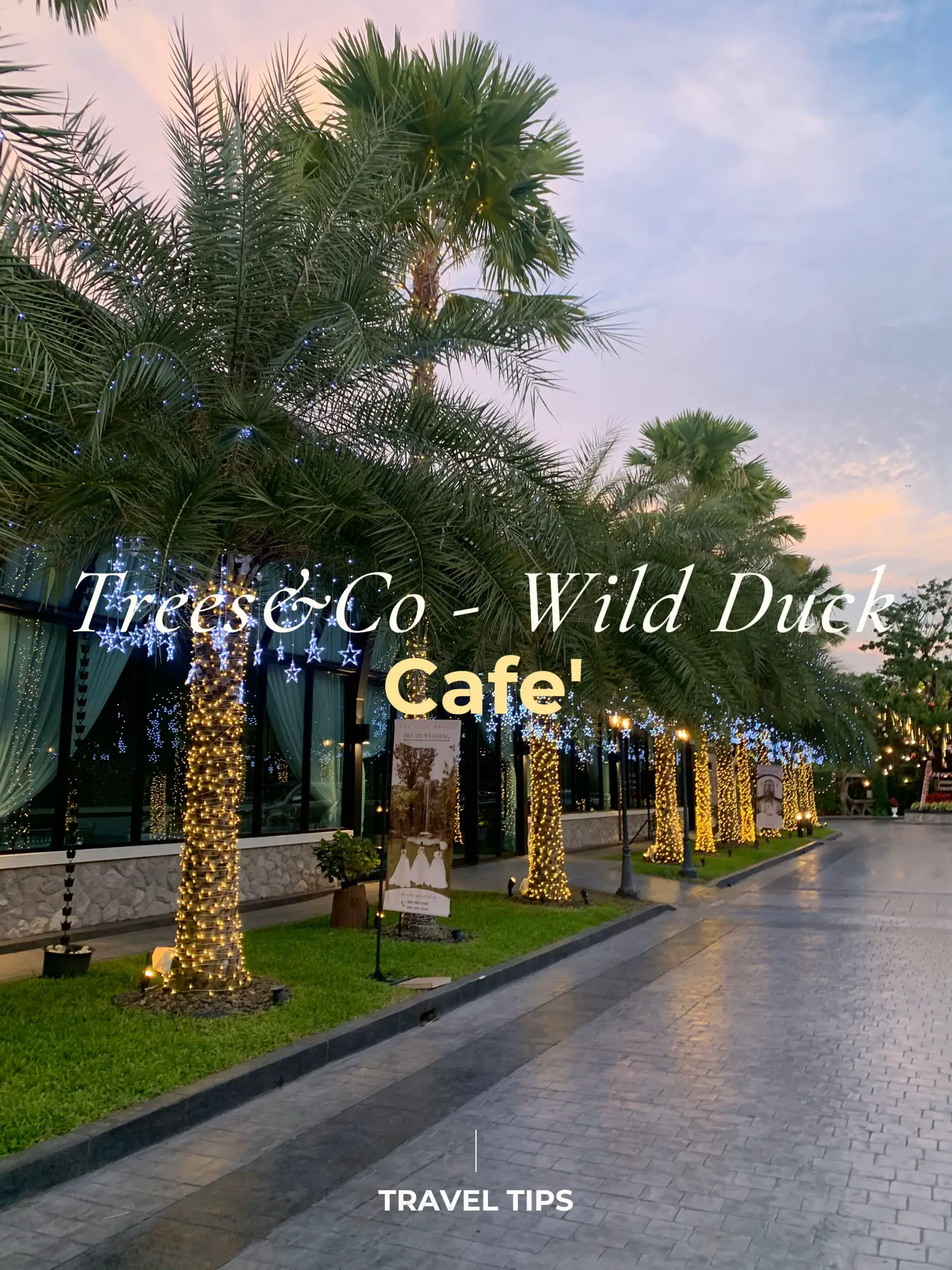 Trees&Co - Wild Duck คาเฟ่น่ารักๆย่านมีนบุรี | แกลเลอรีที่โพสต์โดย Alinrada.s | Lemon8