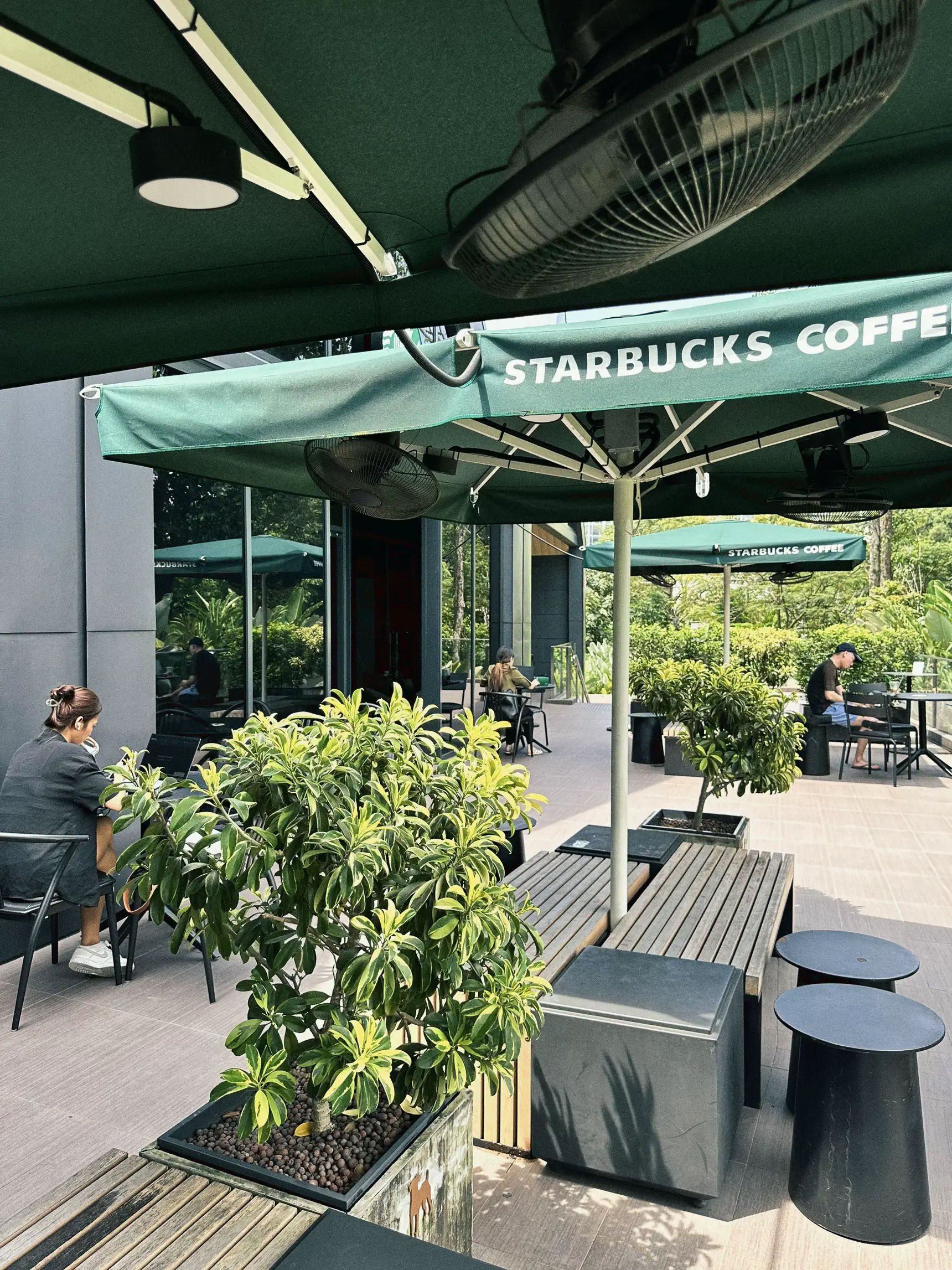 Have you seen this Starbucks outlet? | Gallery posted by Ethan Chua ...