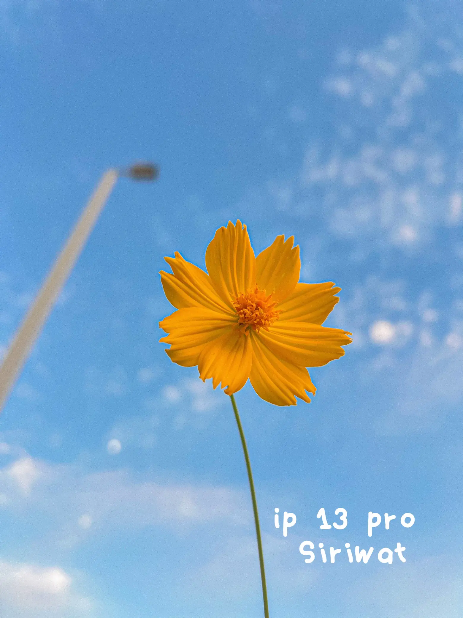 Ip 13 pro Siriwat | แกลเลอรีที่โพสต์โดย IG.Pondsiriwat_ | Lemon8