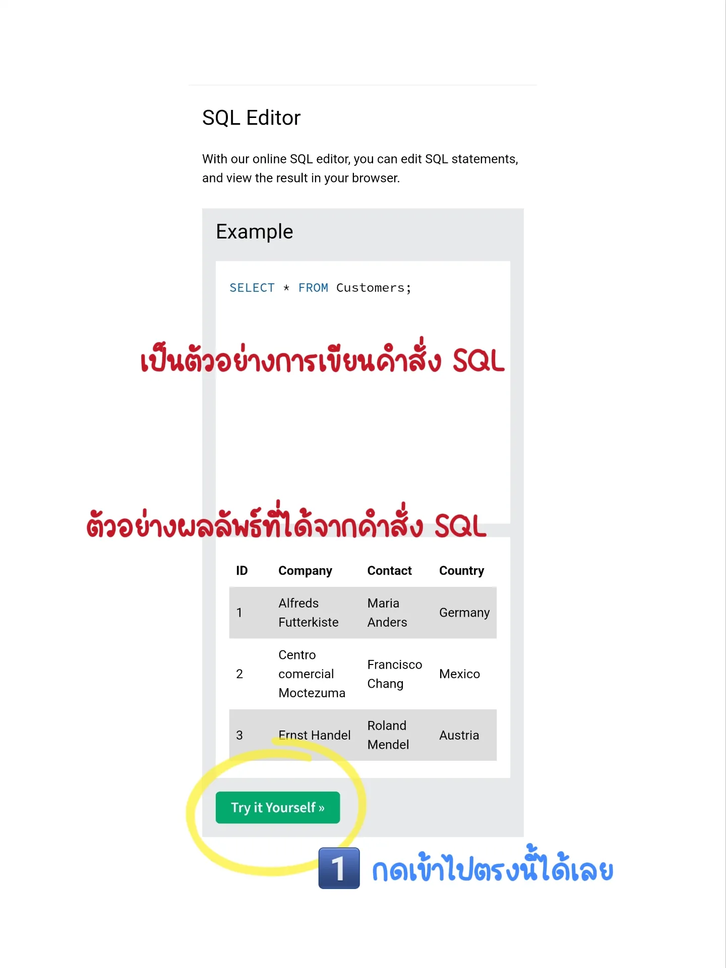 มือใหม่ก็ทำได้! สอนเขียน SQL ตั้งแต่พื้นฐานฟรี #1 | แกลเลอรีที่โพสต์โดย ...