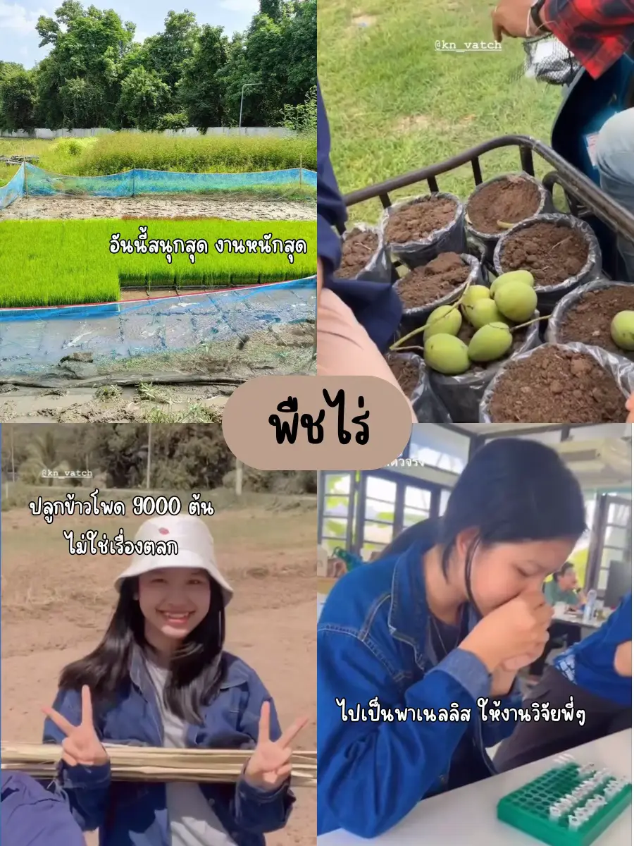 เรียนเกษตรโครตสนุก | แกลเลอรีที่โพสต์โดย kn_vatch | Lemon8