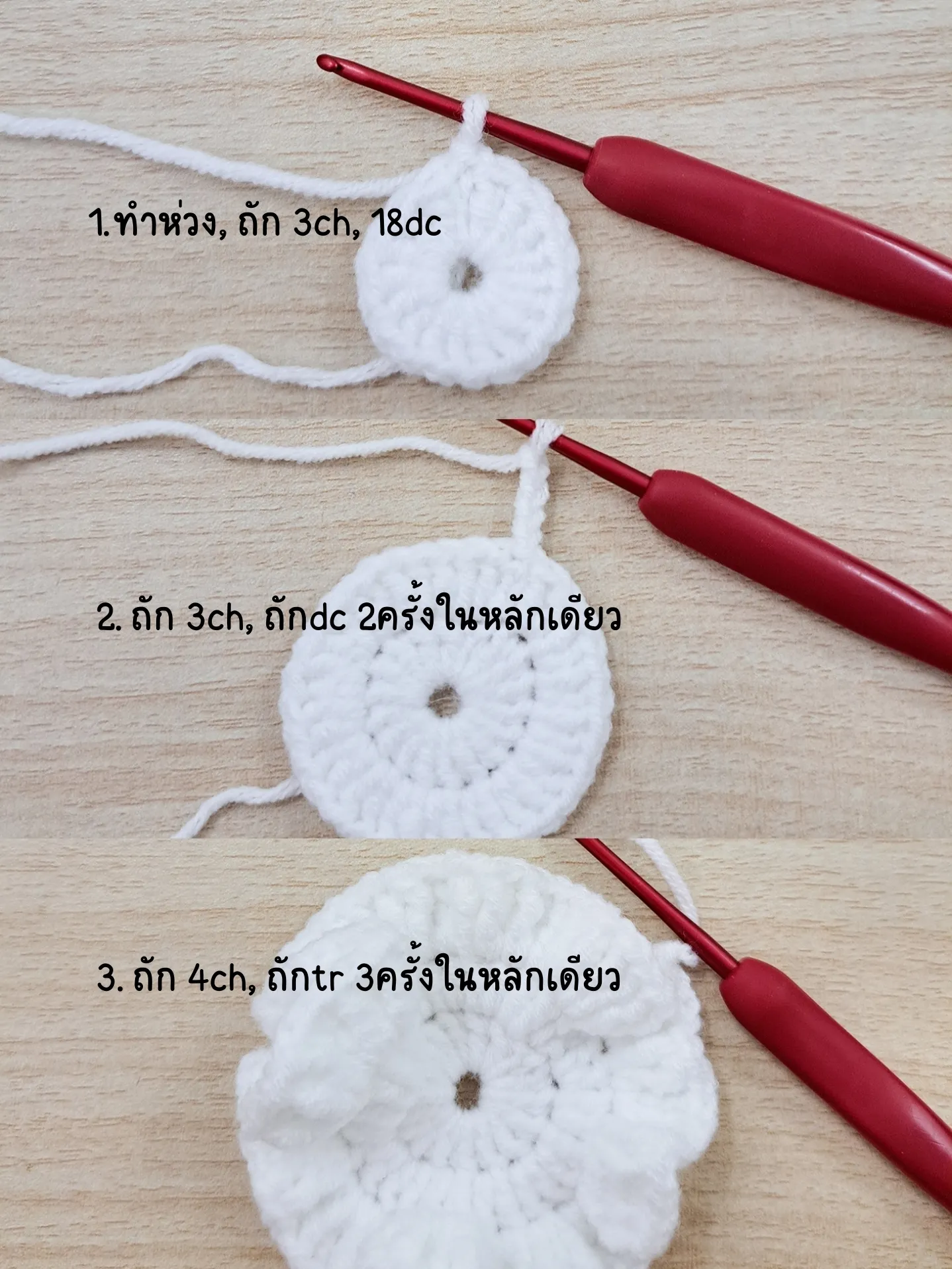 ถักดอกคาร์เนชั่นกันค่ะ | แกลเลอรีที่โพสต์โดย Radaa 🍀🌟 | Lemon8