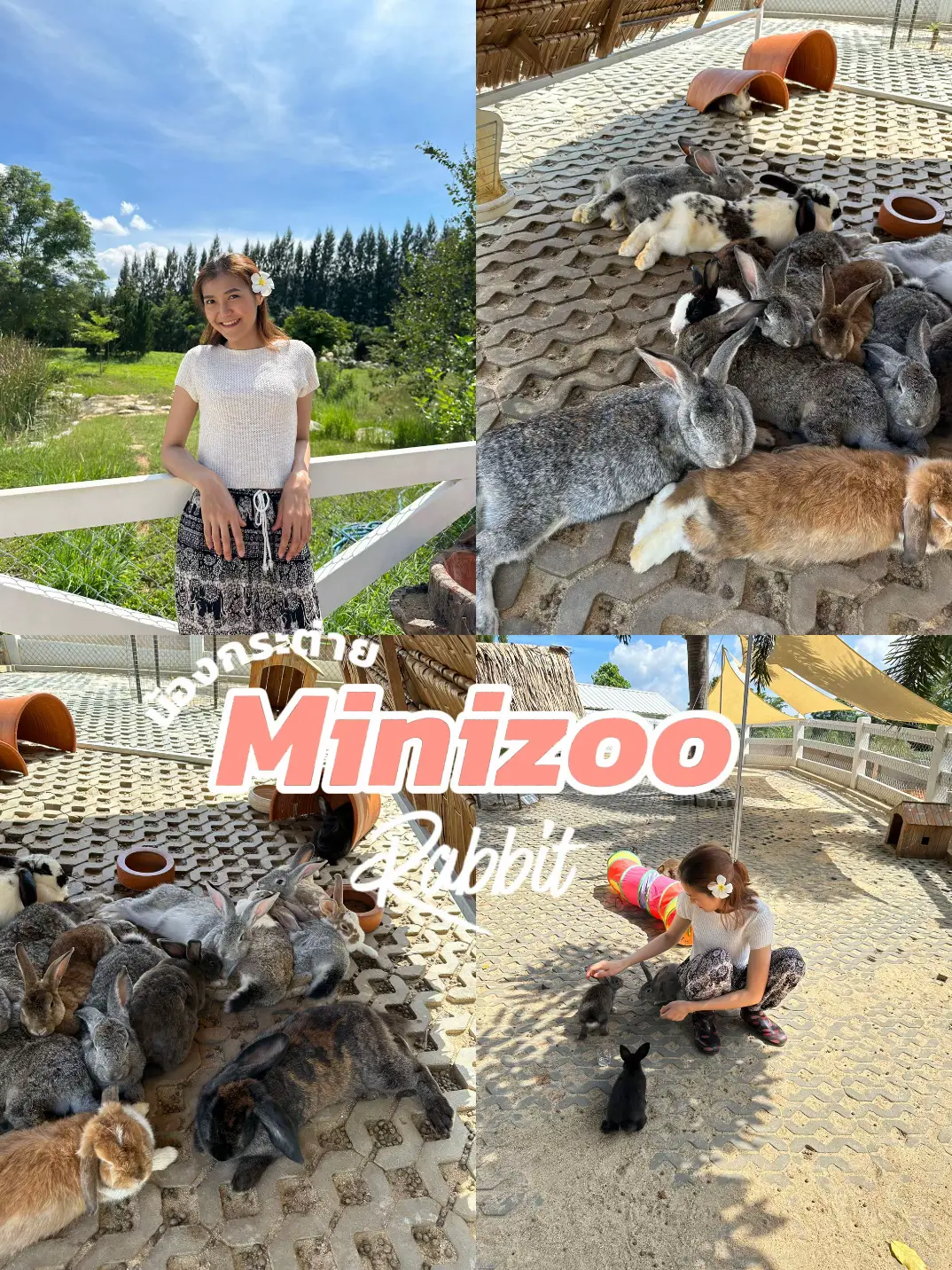 🍧🍡🩷 Bucolic Khaoyai คาเฟ่ที่มี mini zoo ⛺️🌈🩵 | แกลเลอรีที่โพสต์โดย IDRA | Lemon8
