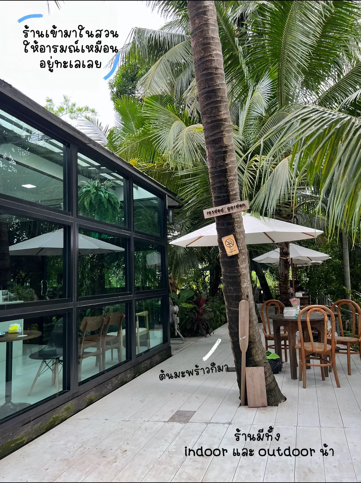 คาเฟ่ก๋วยเตี๋ยวในสวน Rosded Garden🌴 | แกลเลอรีที่โพสต์โดย tangtangthai ...