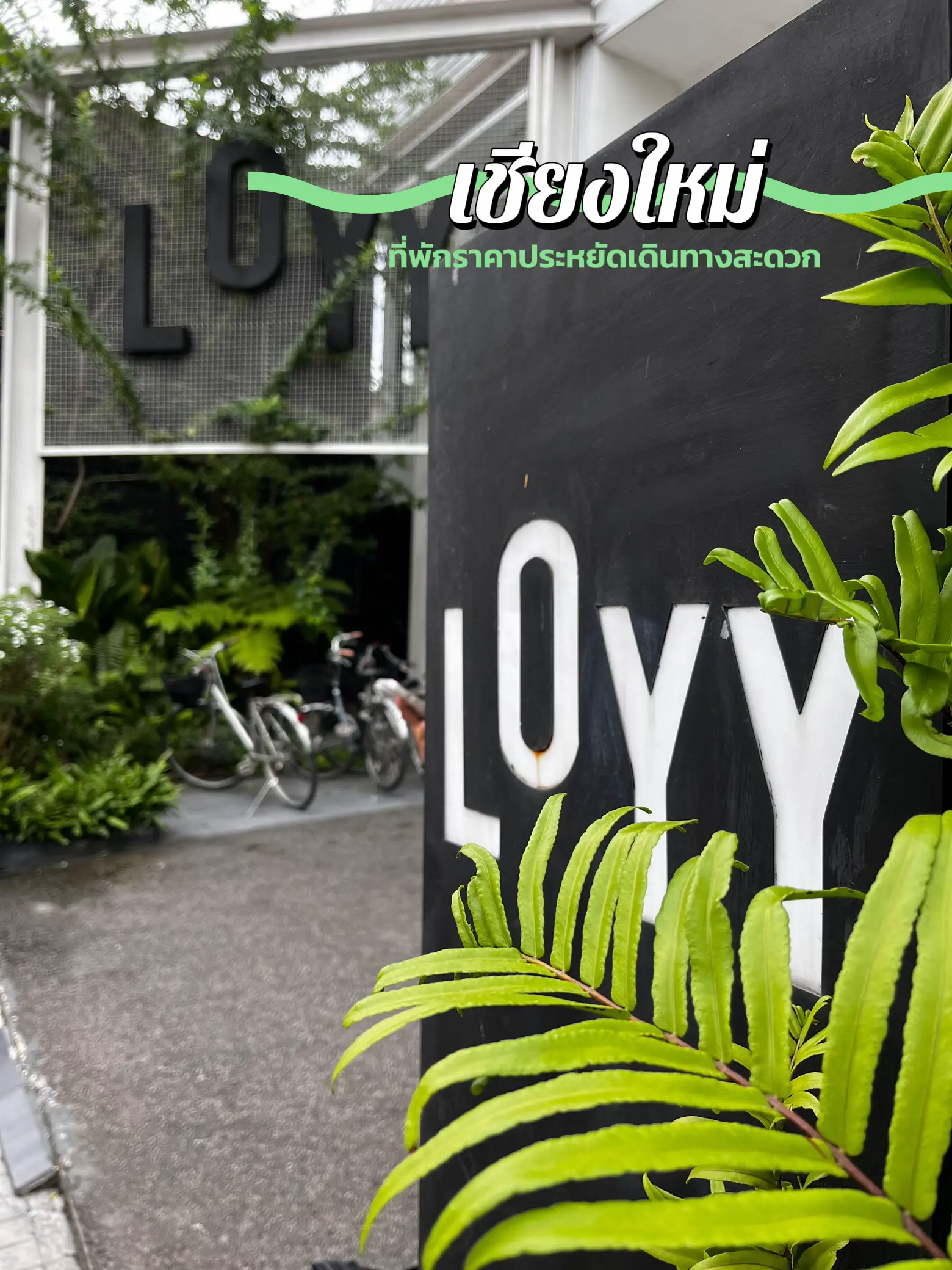 Loyy hotelที่พักราคาน่ารัก เดินทางเที่ยวได้สะดวกเชียงใหม่ | แกลเลอรีที่ ...