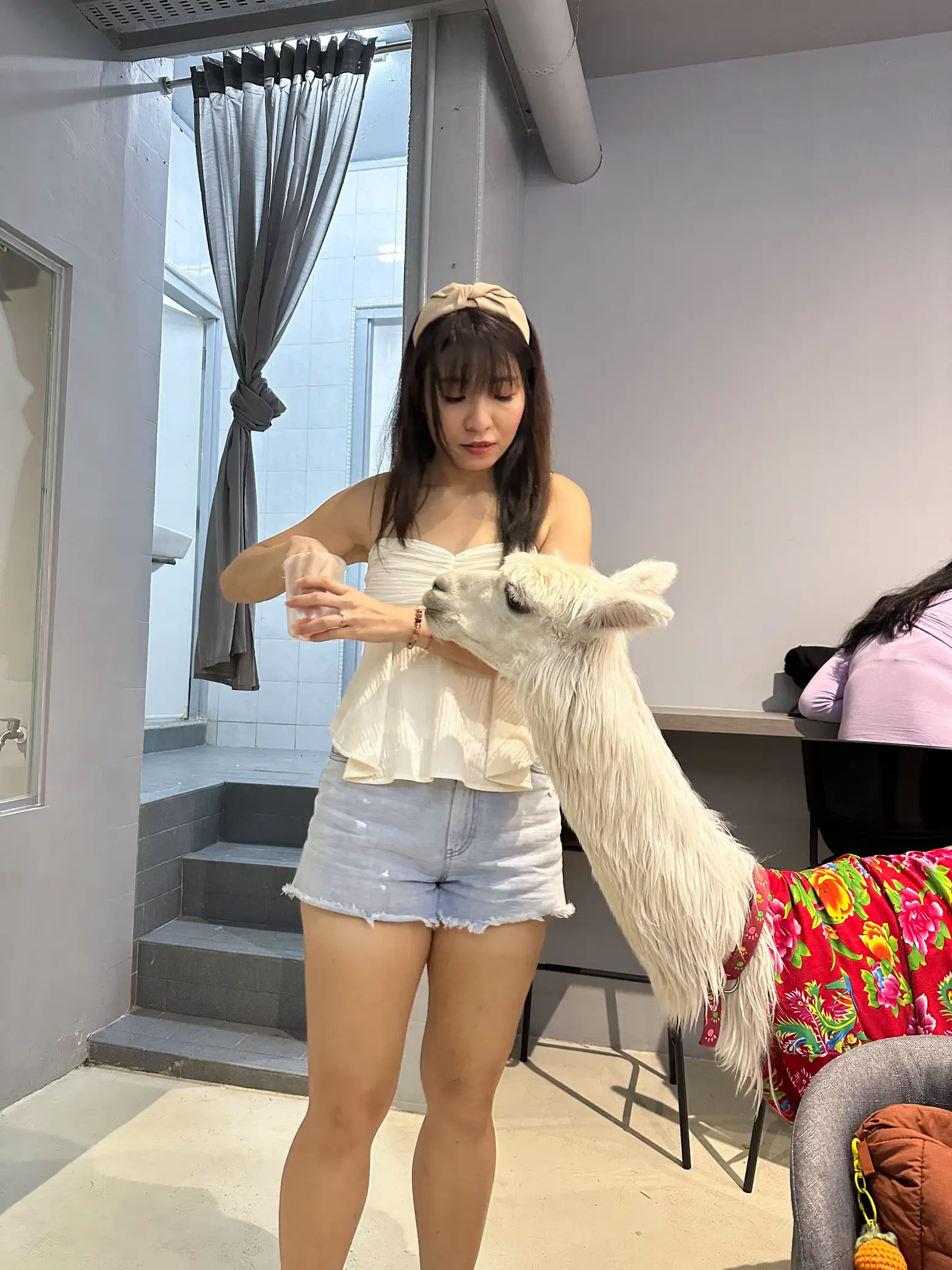 Alpaca cafe in JB, is it worth visiting? | Gallery posted by Weeawee🫐 ...