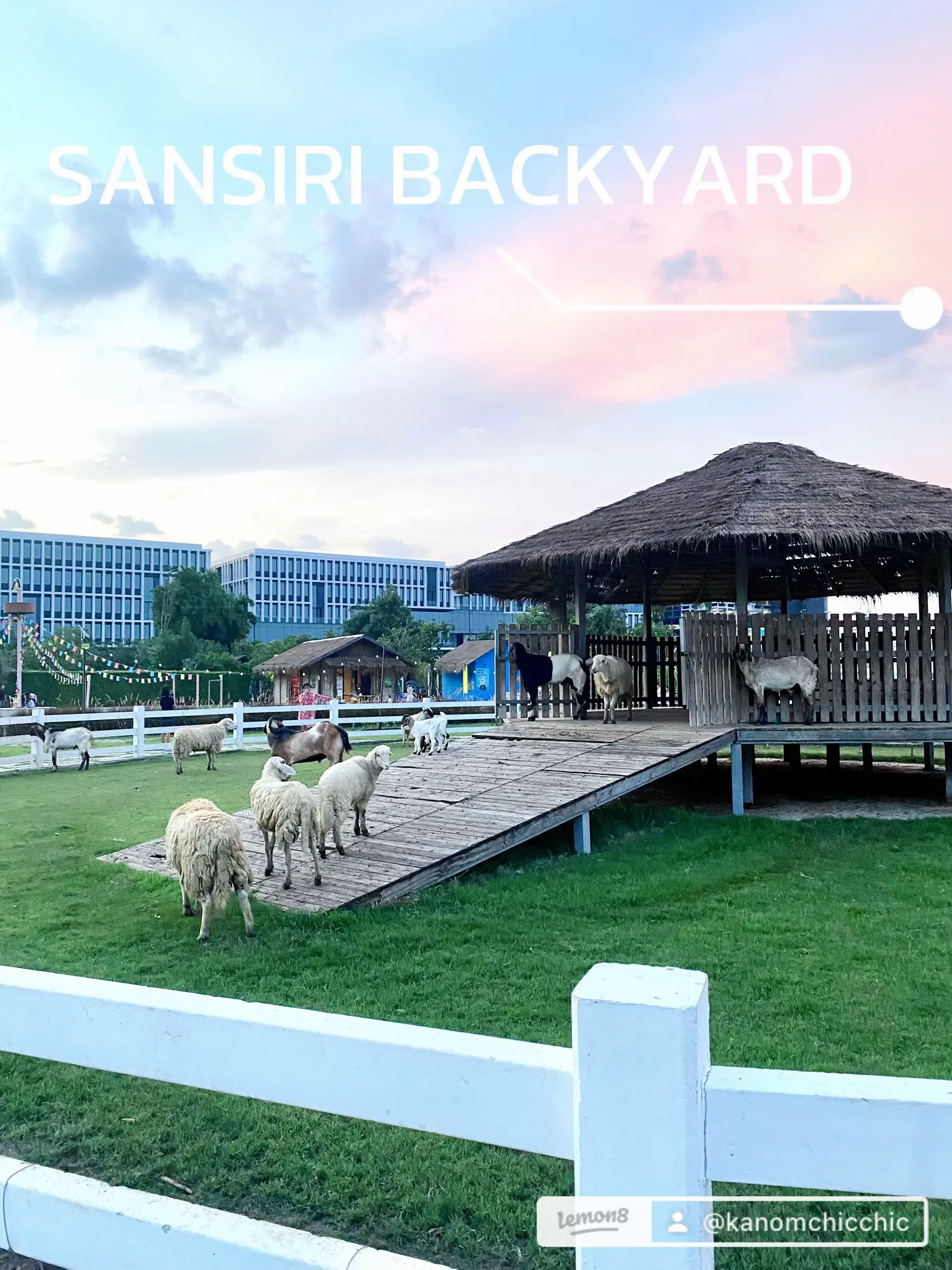 Sansiri Backyard ฟาร์มกลางกรุงเทพ สุขุมวิท77 | แกลเลอรีที่โพสต์โดย Alicereviewland | Lemon8