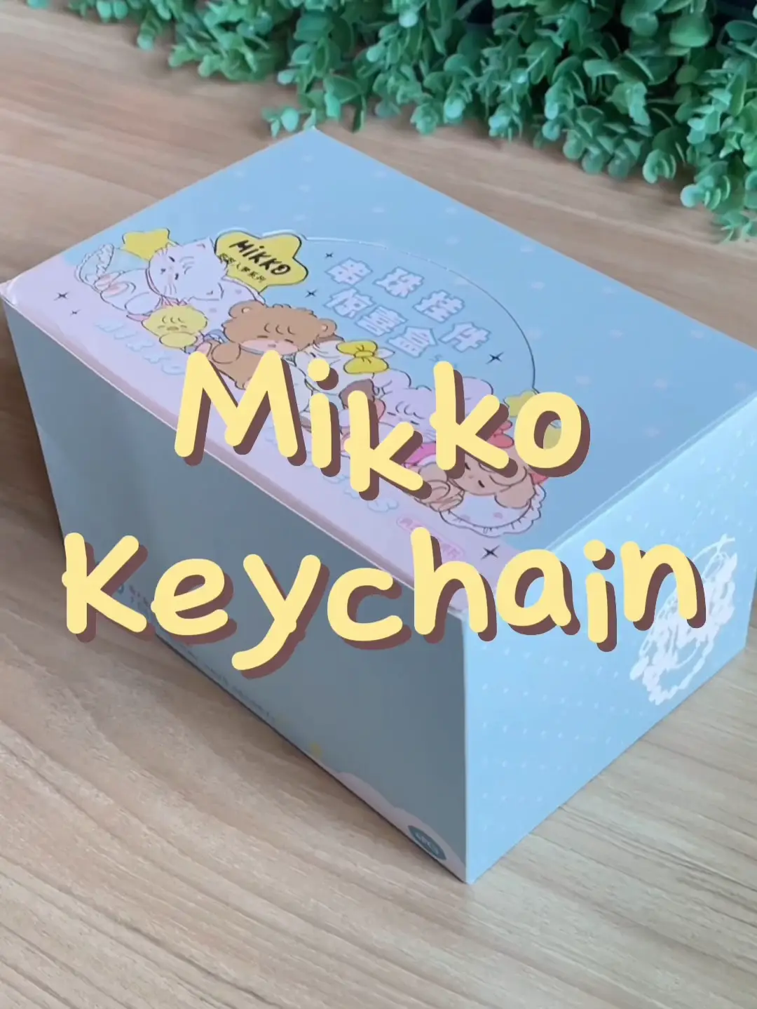 [วิวรีวิว | EP53] ยกBOX กล่องสุ่ม Mikko Keychain 💗 | วิดีโอที่เผยแพร่ ...