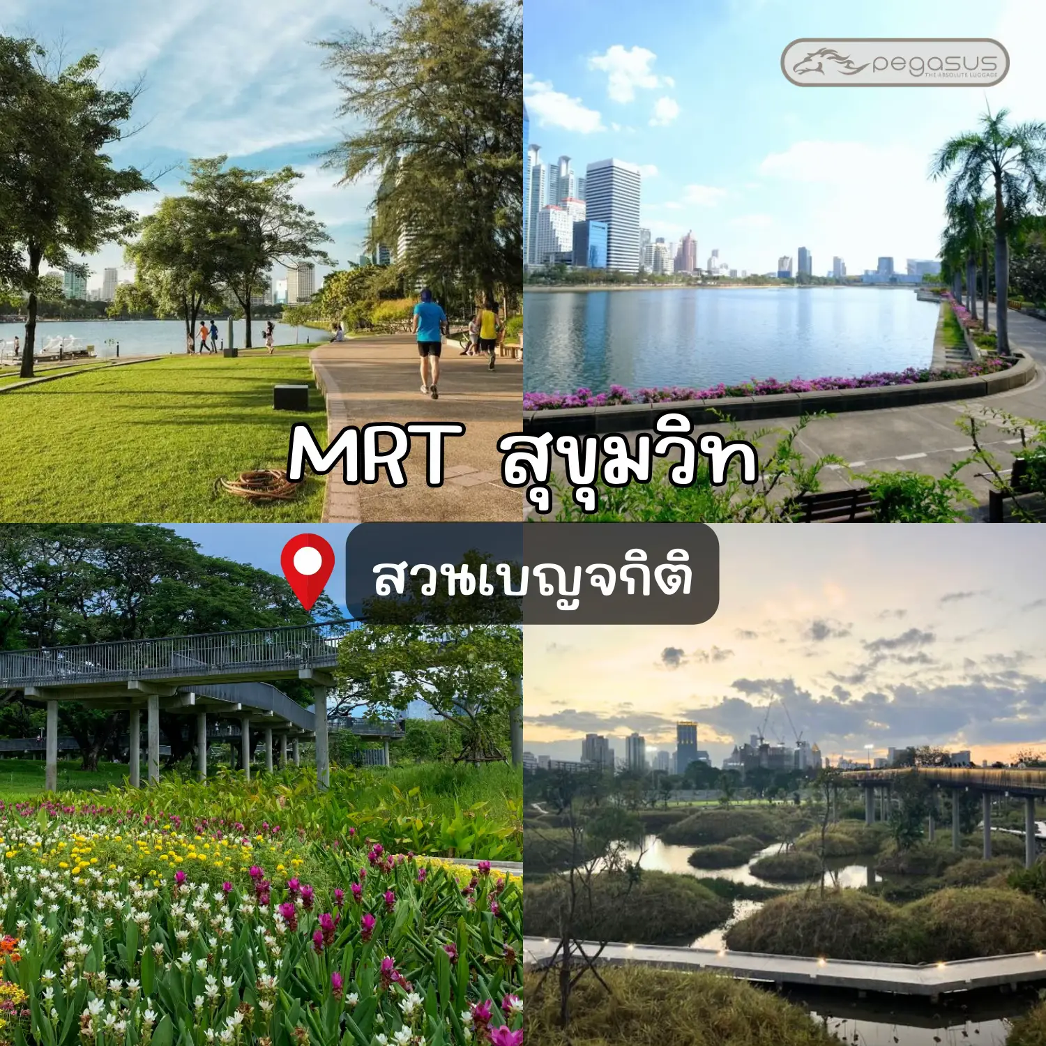 🌟🚉มัดรวมที่เที่ยวติดMRT ประจำปี2024 | แกลเลอรีที่โพสต์โดย Pegasus Diary | Lemon8