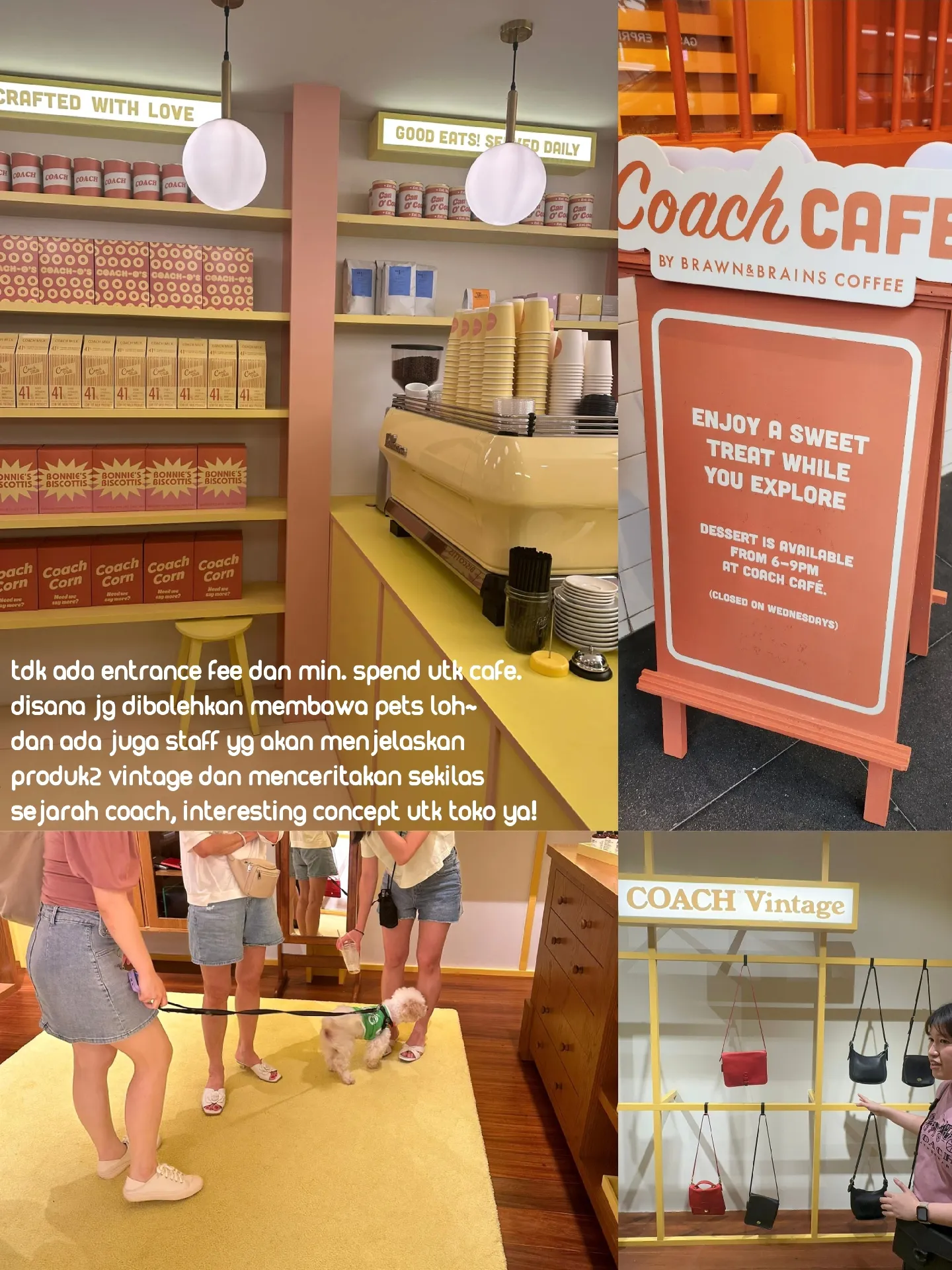 👜COACH CAFE pertama di dunia💕 | Galeri diposting oleh whatsoeva | Lemon8