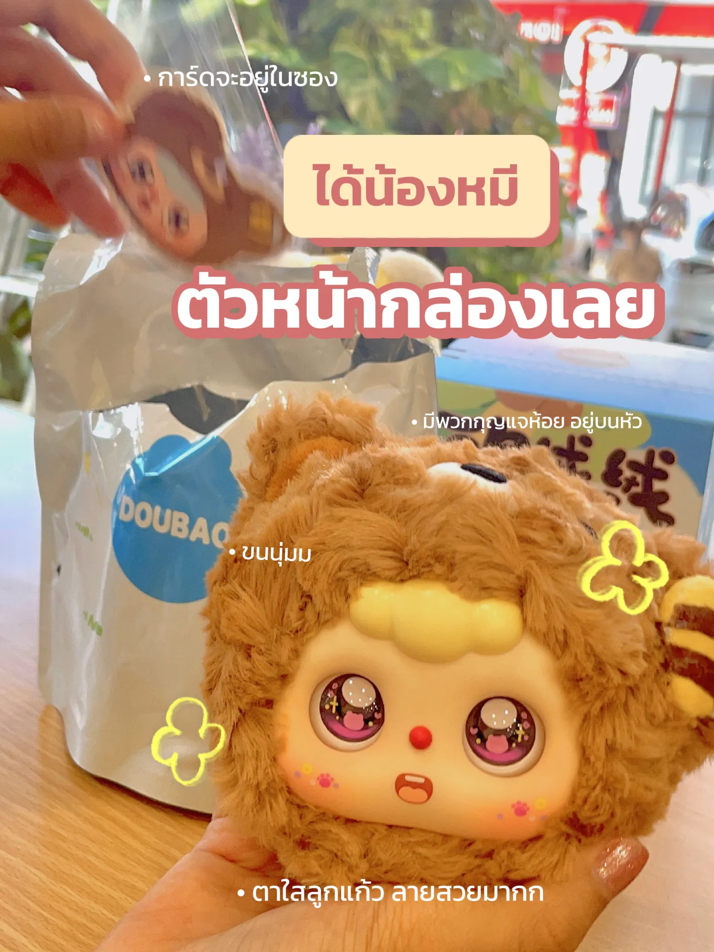 DOUBAO น้องถั่วว🧸🫶🏻 | แกลเลอรีที่โพสต์โดย im.gttk515💟 | Lemon8