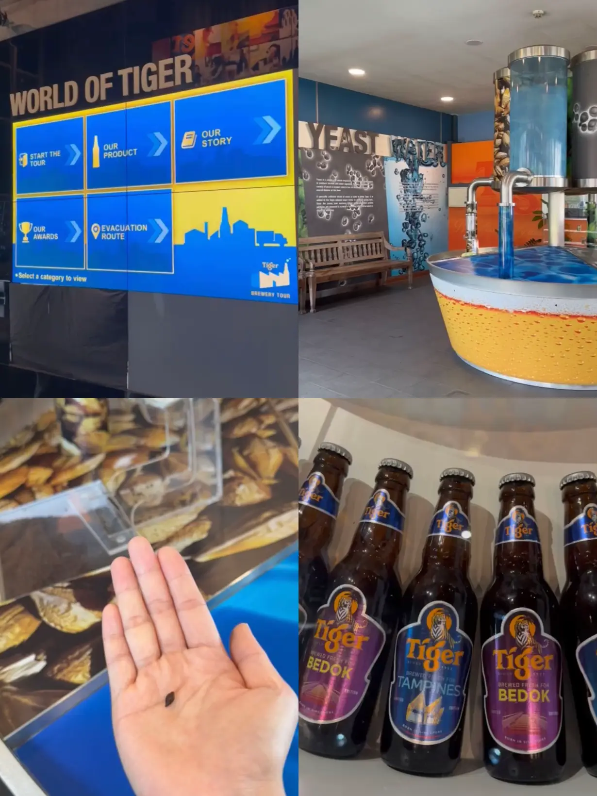 Date Idea | $20 for a guided tour & free beer? | Gallery posted by ...