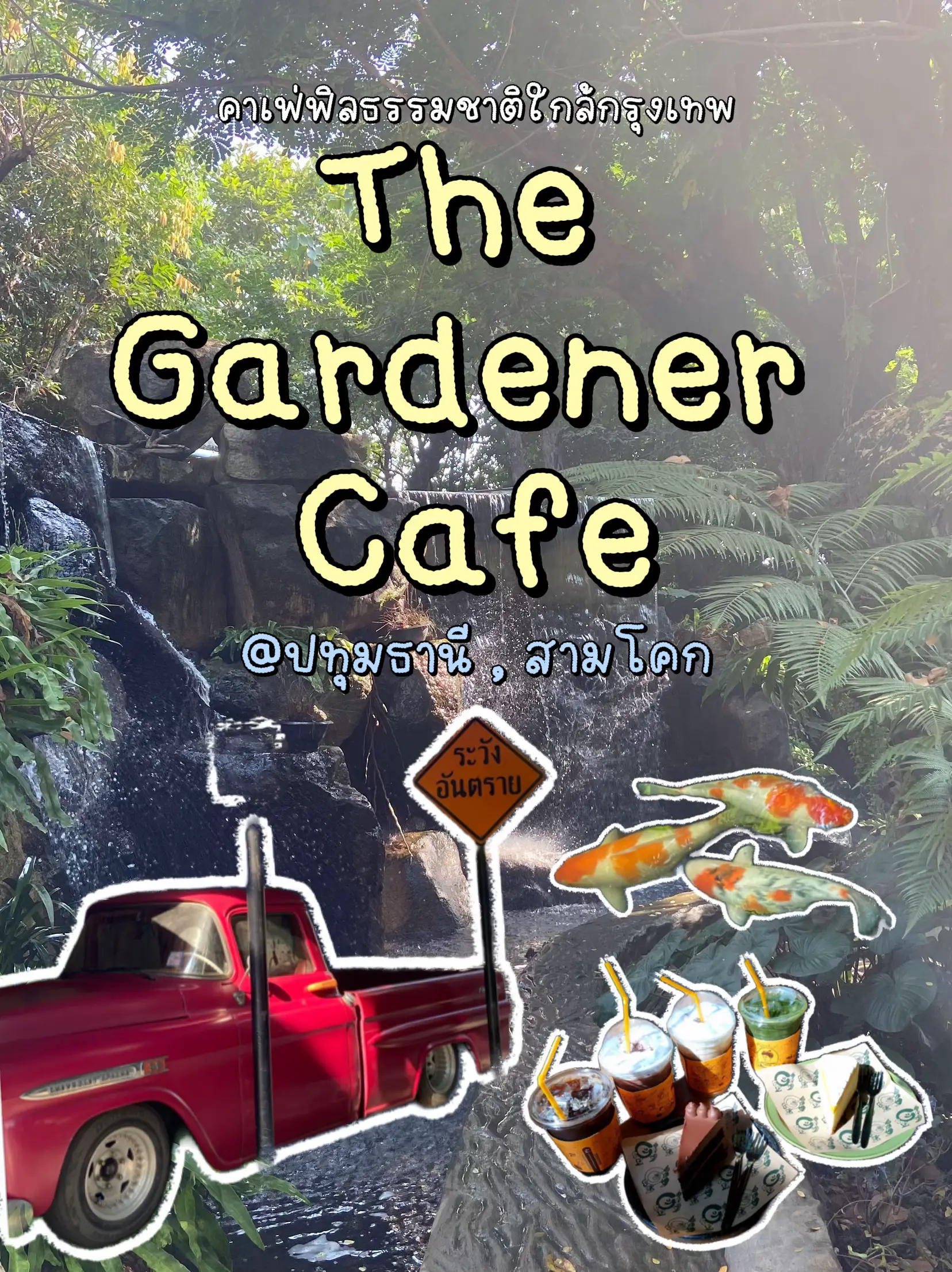 🌳Heal Jai Cafe "The Gardener Cafe" Pathum Thani, Three Hump🌳 | Gallery posted by 𝑐ℎ𝑜𝑚𝑝𝑜𝑜 | Lemon8