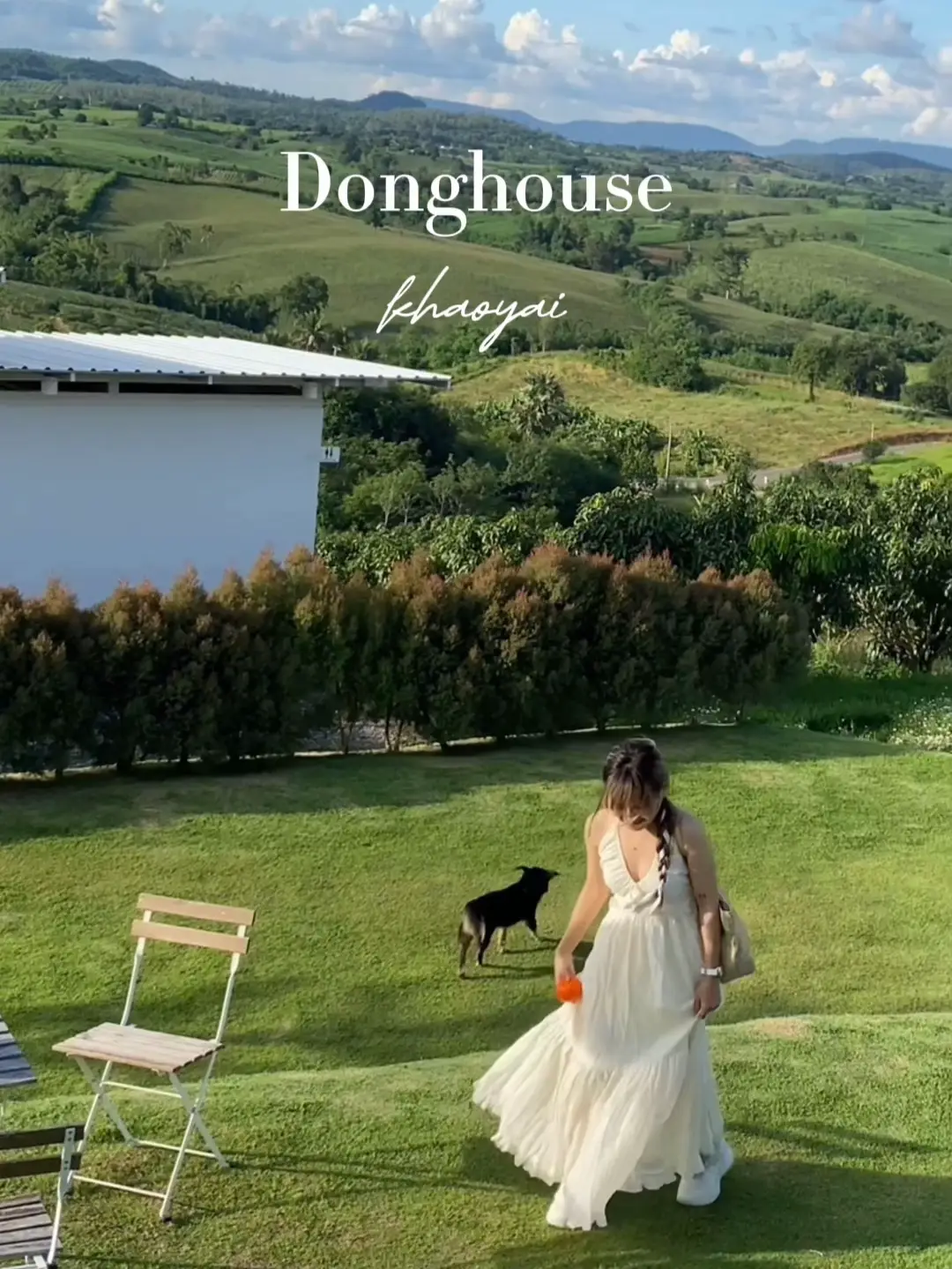 🍞🥖📍 Donghouse khaoyai แสงดี วิวดี ขนมดี ไปที่นี่เลย | วิดีโอที่เผยแพร่ ...