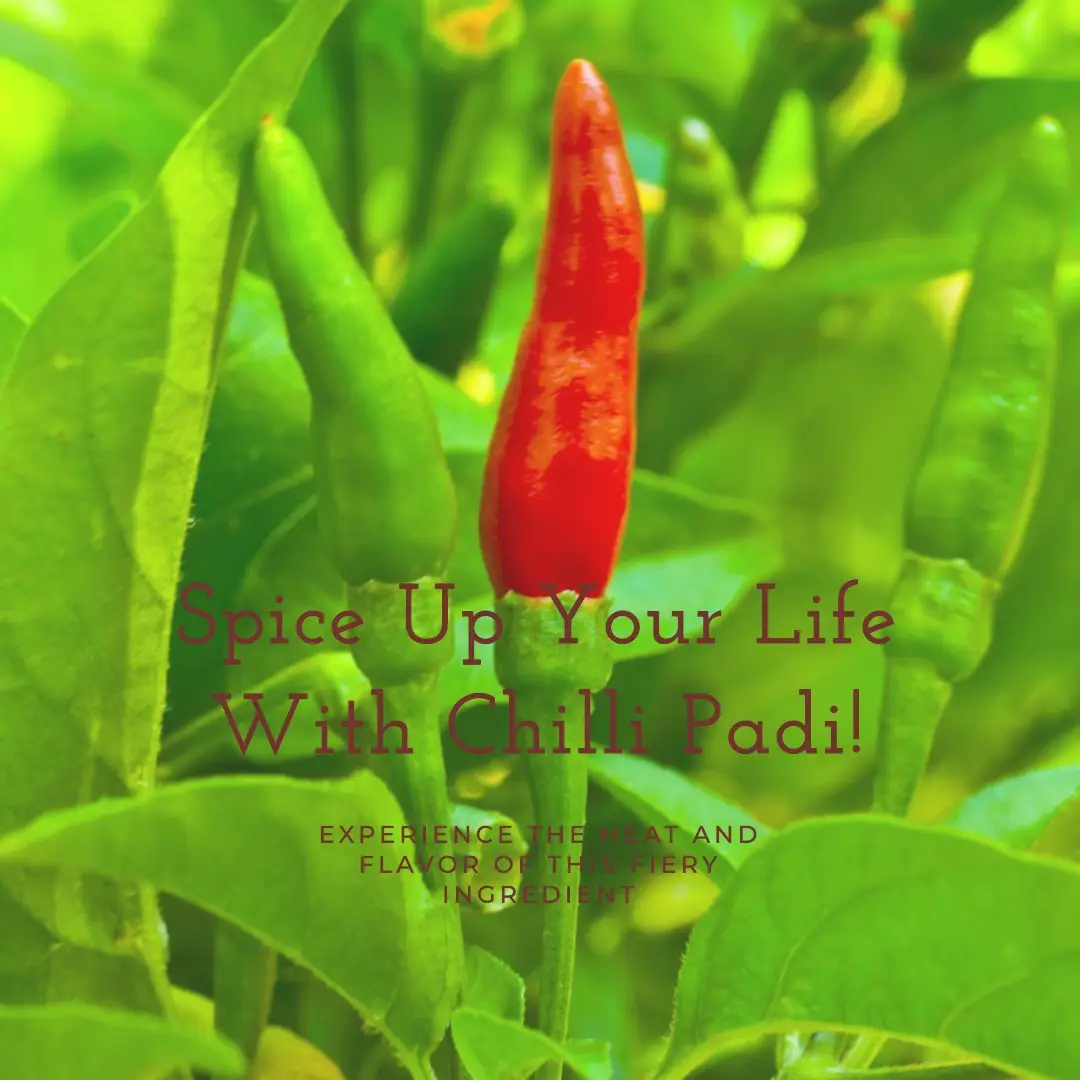 Spicy Life Hacks: 5 Ways to Use Chilli Padi | Gallery posted by Elijah ...