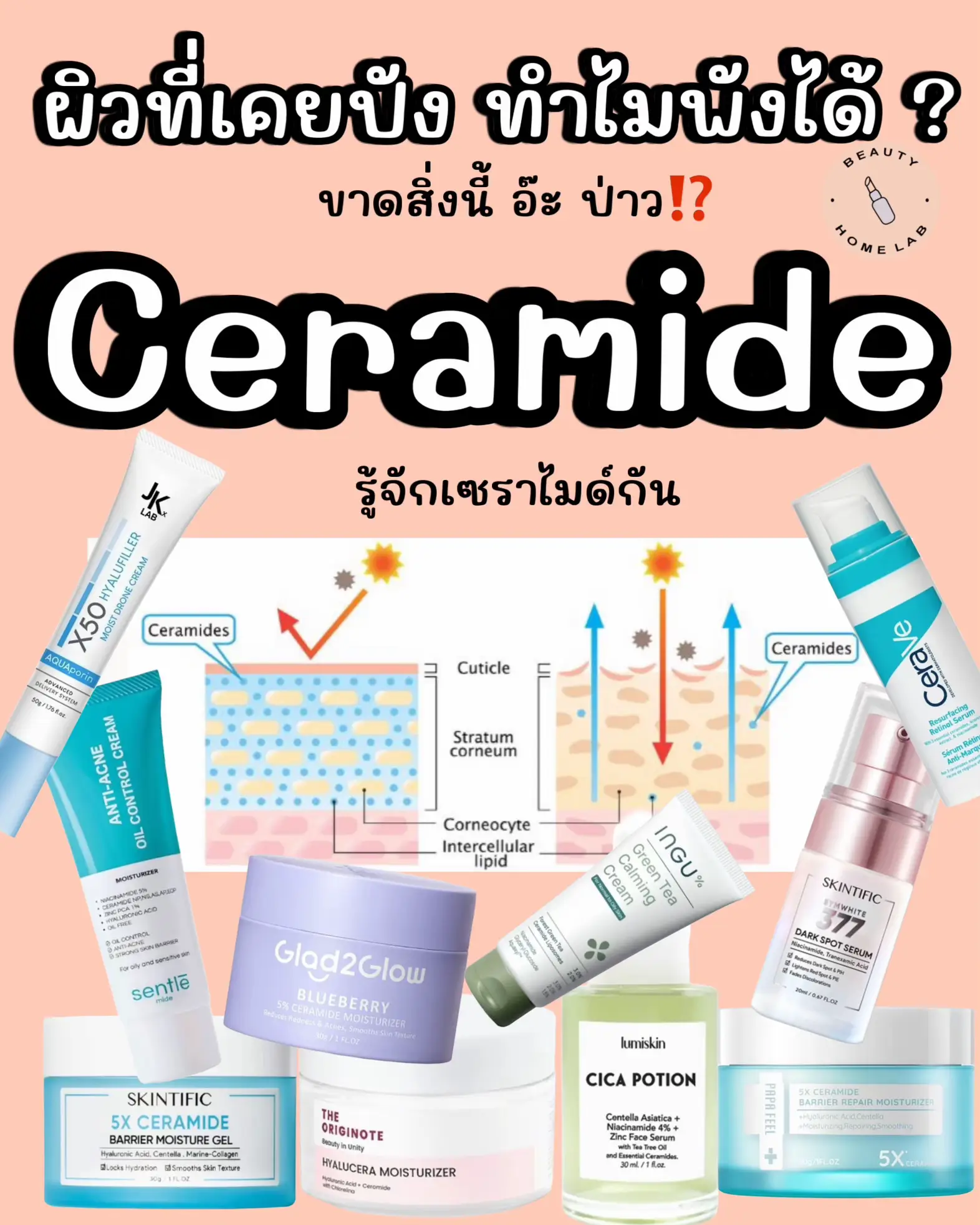 ผิวที่เคยปัง ทำไมพังได้? ขาด Ceramide รึเปล่า⁉️ | แกลเลอรีที่โพสต์โดย ...
