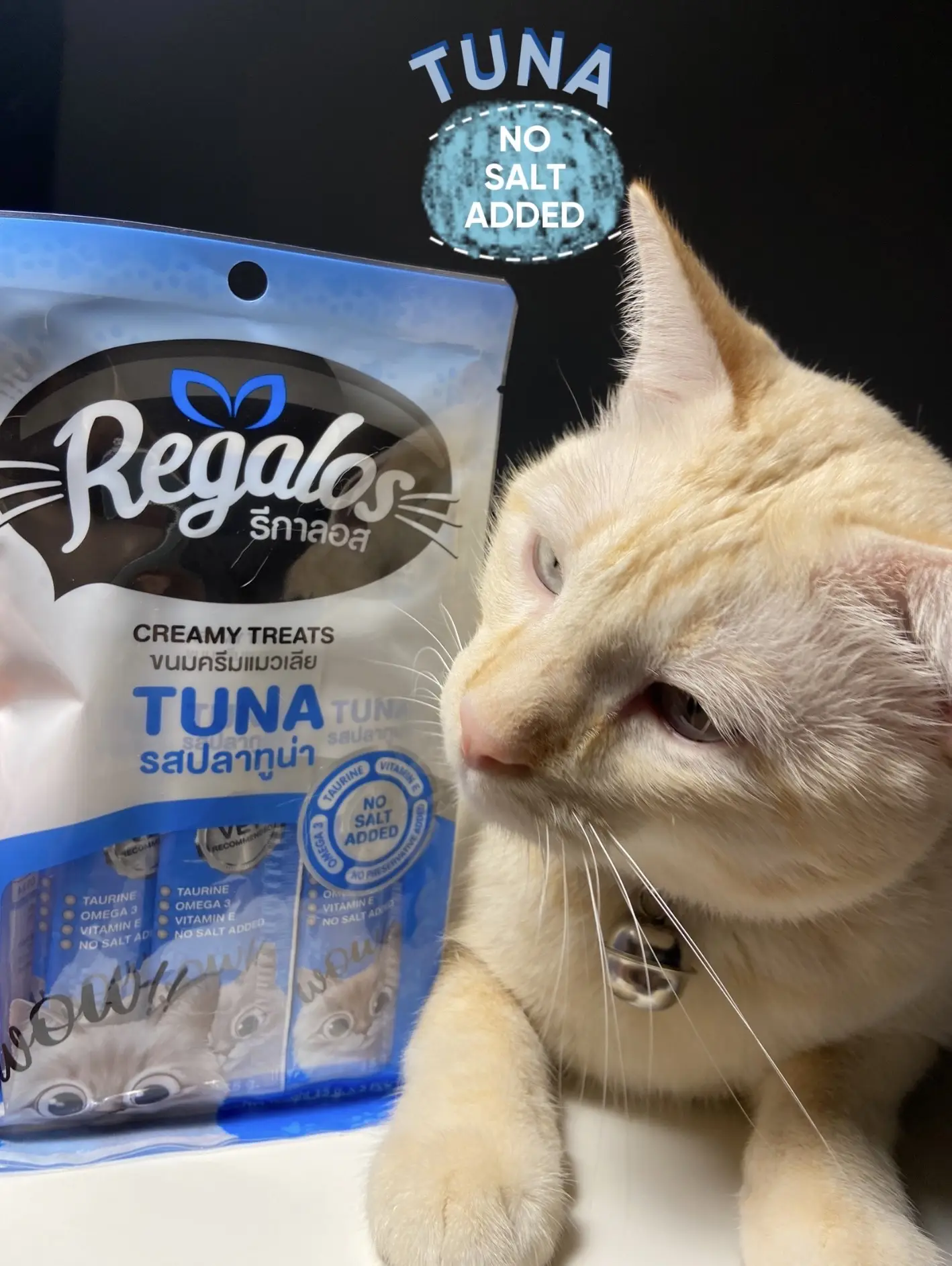 ขนมแมวเลียliebao - การค้นหาใน Lemon8