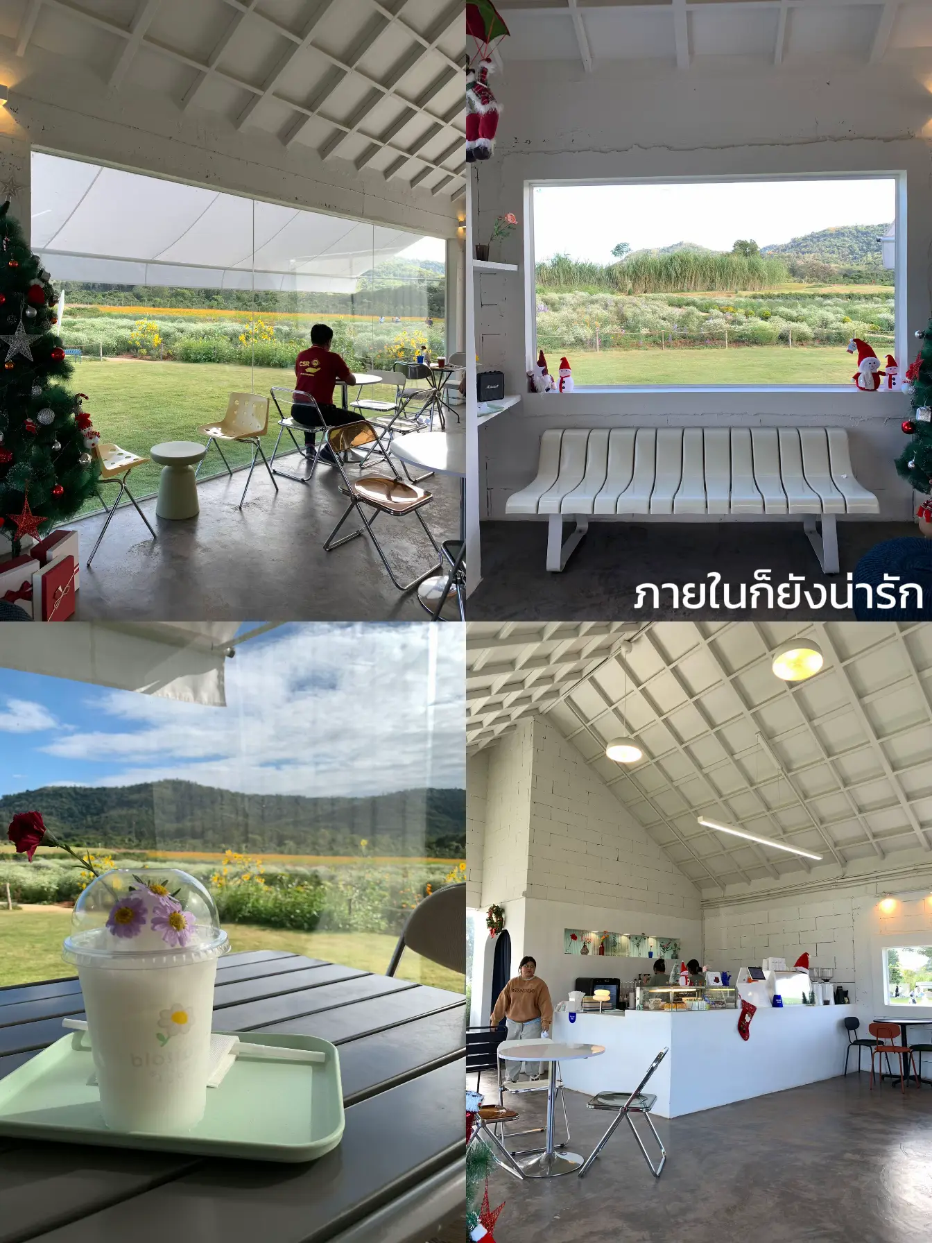 Blossom bloom | แกลเลอรีที่โพสต์โดย Sirimoko | Lemon8