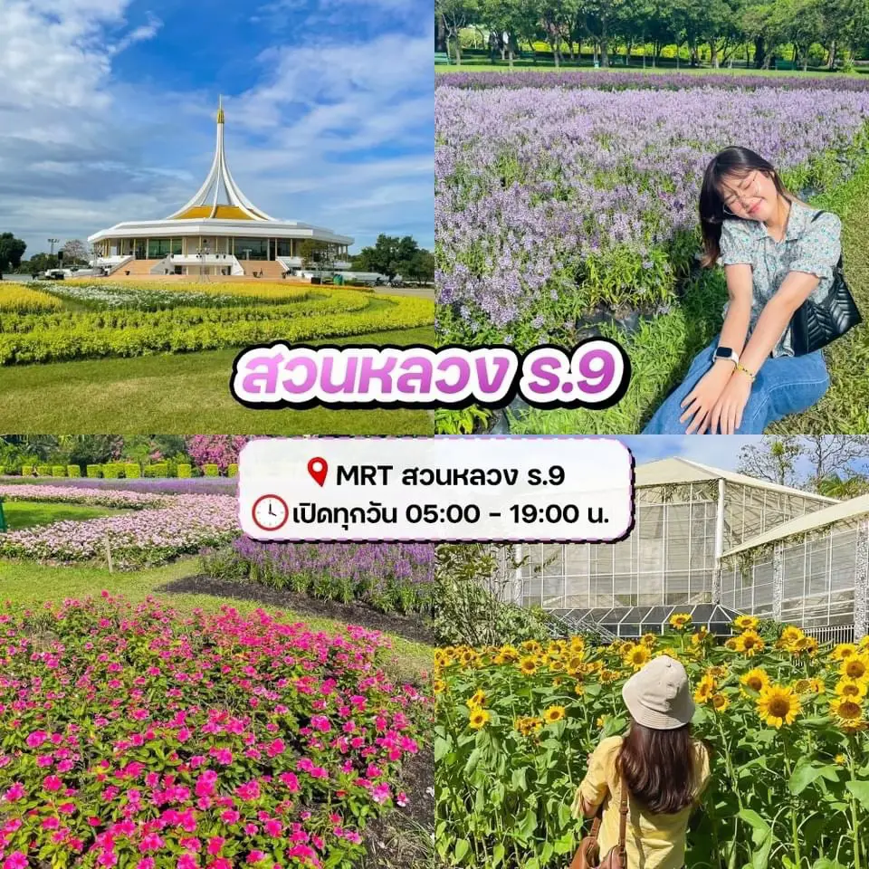 แจกพิกัด 10 ที่เที่ยวฮีลใจสายอินโทรเวิร์ต 🌷 | แกลเลอรีที่โพสต์โดย Proxumer | Lemon8