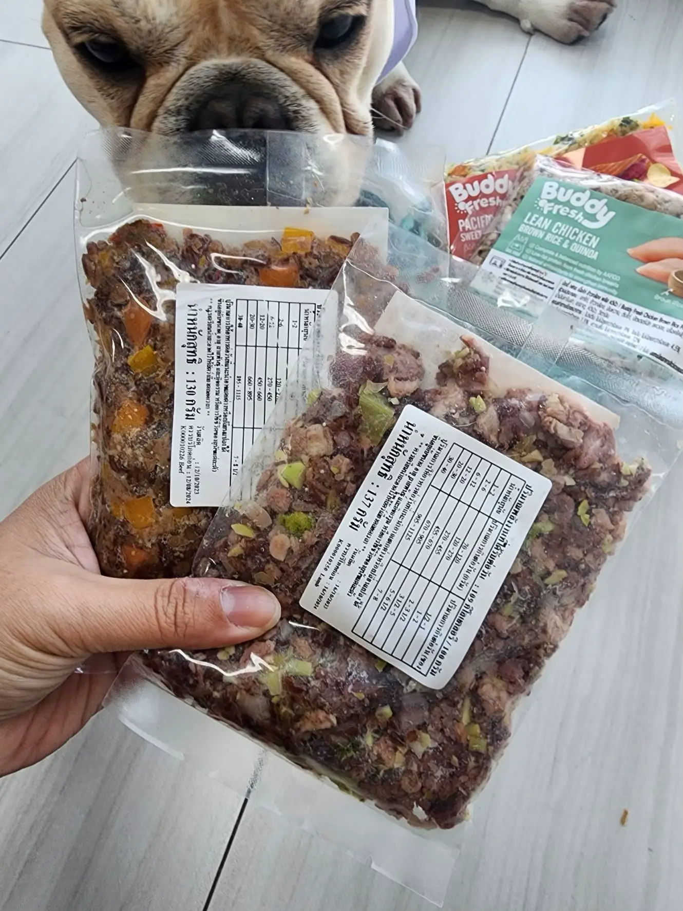 Buddy Fresh อาหารปรุงสุกของน้องหมา 😋 | แกลเลอรีที่โพสต์โดย Lattewander ...