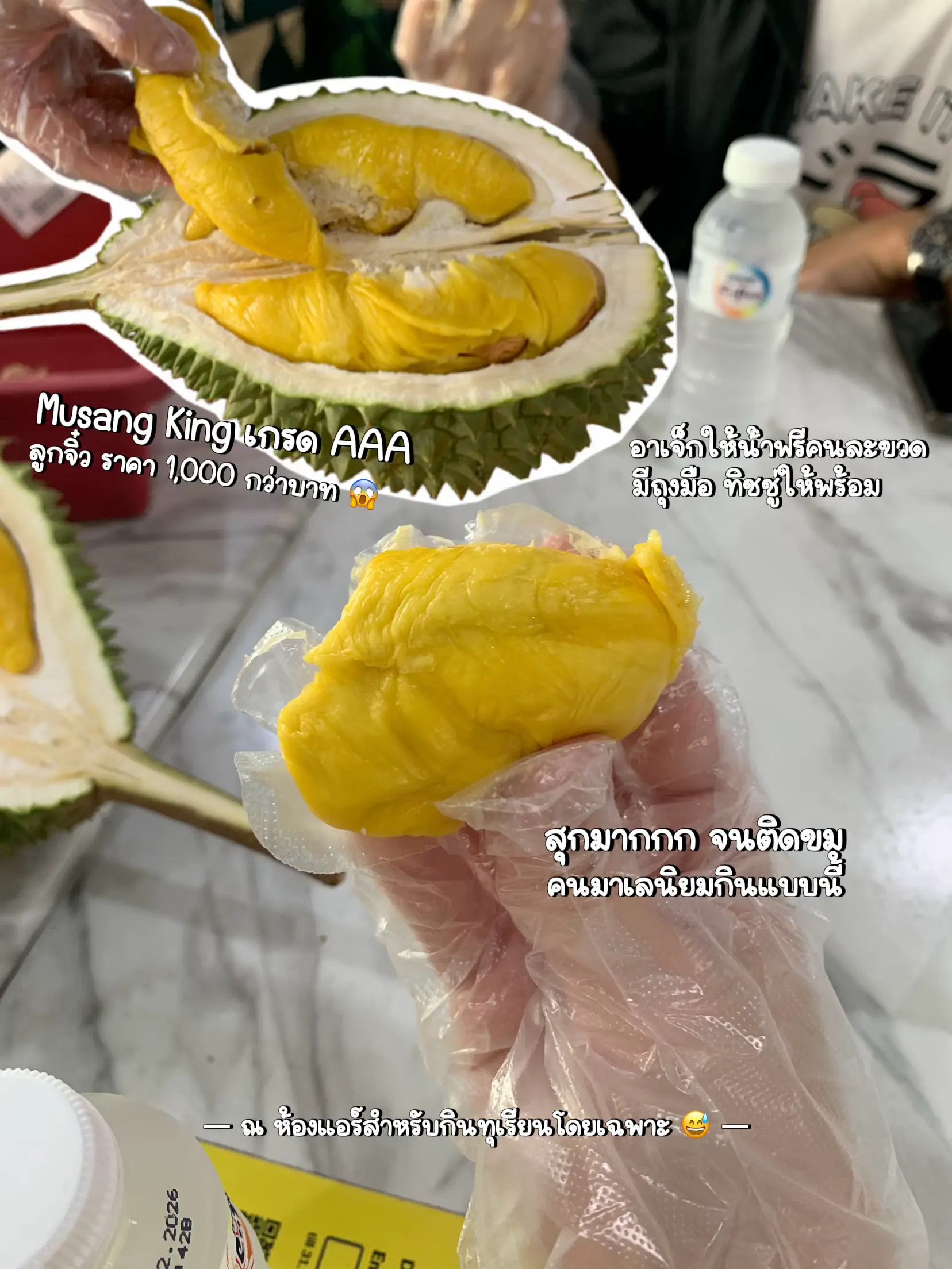 ชี้เป้าร้านอร่อย ปีนัง 🇲🇾 EP.2 (feat. ทุเรียน Musang King) 😵 | แกลเลอรีที่โพสต์โดย effe enne 🥨 ...