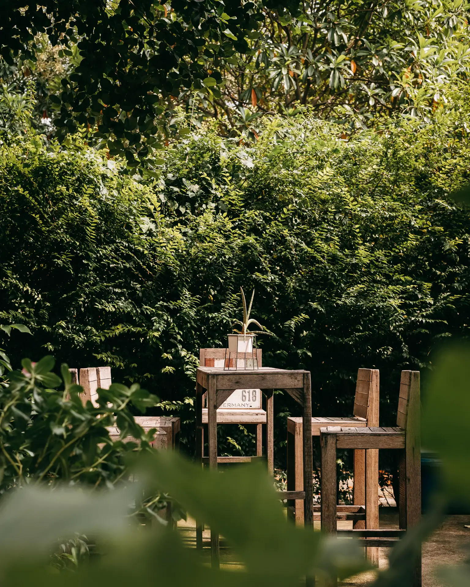 Sweet Forest, a small cafe that hides beautiful nature, Pathum Thani ...