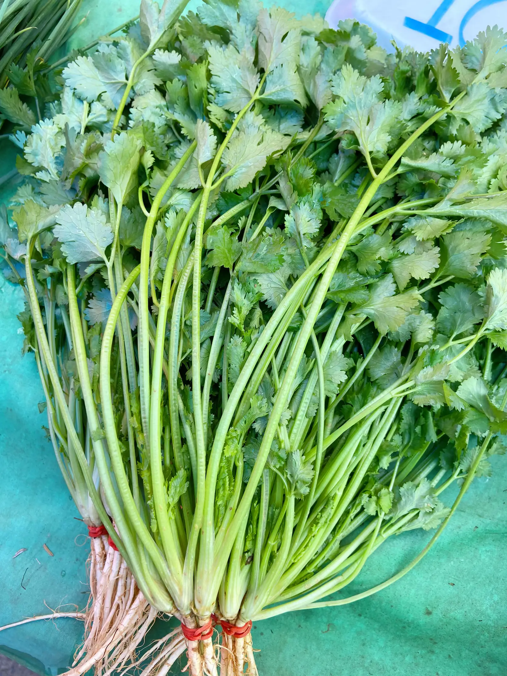 จากพนักงานประจำ สู่กิจการเล็กๆ ในวัย 30 ของฉัน 🥬🌶️ แกลเลอรีที่โพสต์