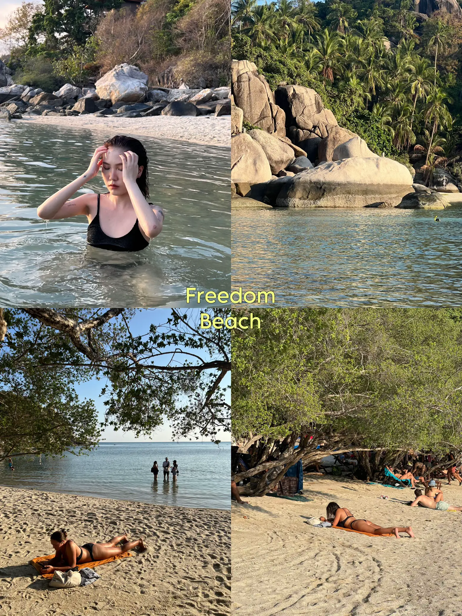 เที่ยวเกาะเต่า 4 วัน 3 คืน ทำอะไรบ้าง 🐚🪸🫧 | แกลเลอรีที่โพสต์โดย DARYN S | Lemon8