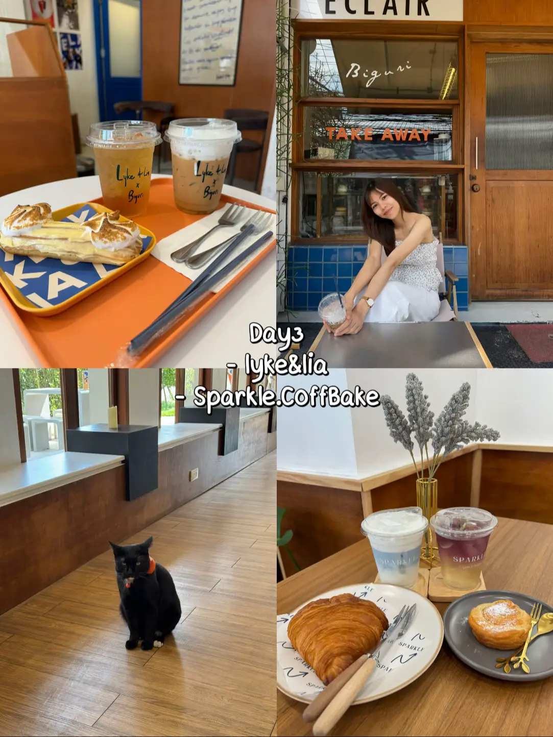 เที่ยวเชียงใหม่ปลายปี2023 ️ | แกลเลอรีที่โพสต์โดย Arisa K. | Lemon8