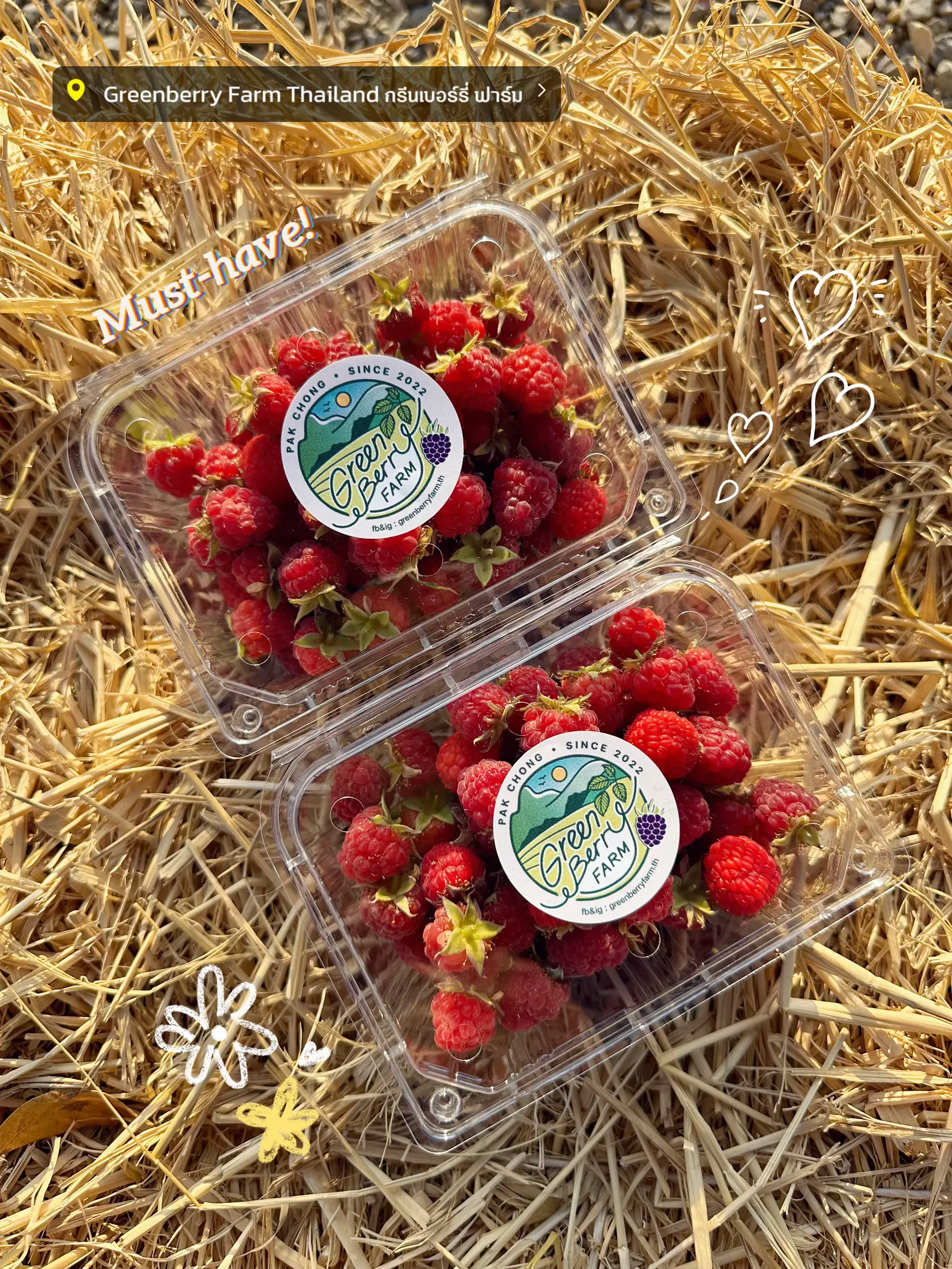 Sweet and sour 🥰 | แกลเลอรีที่โพสต์โดย berriesfarming | Lemon8