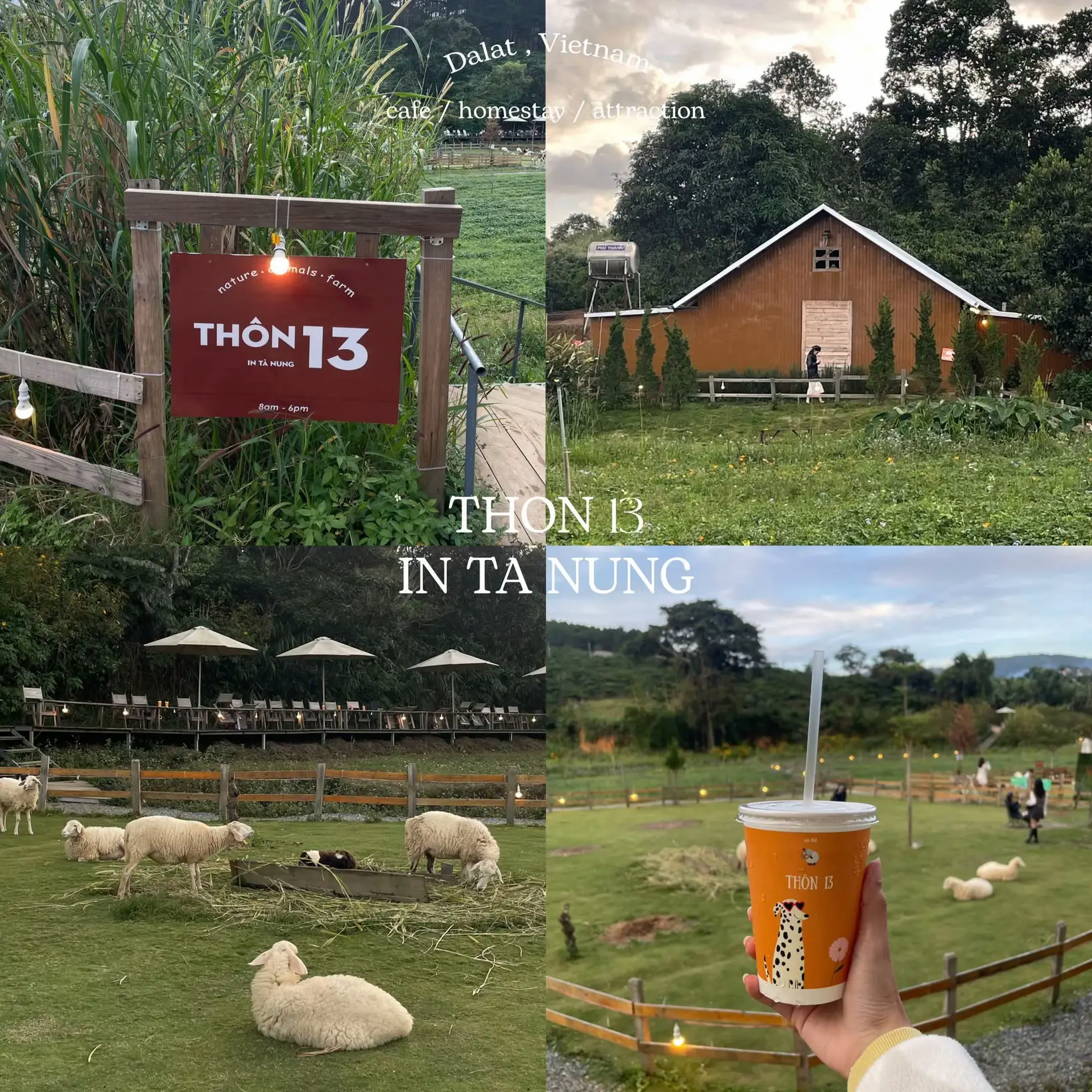 รวมที่เที่ยว ‘ดาลัด’ ในบรรยากาศสุดอบอุ่นช่วงต้นปี🌲🛖🌸 | แกลเลอรีที่โพสต์โดย lbzero | Lemon8