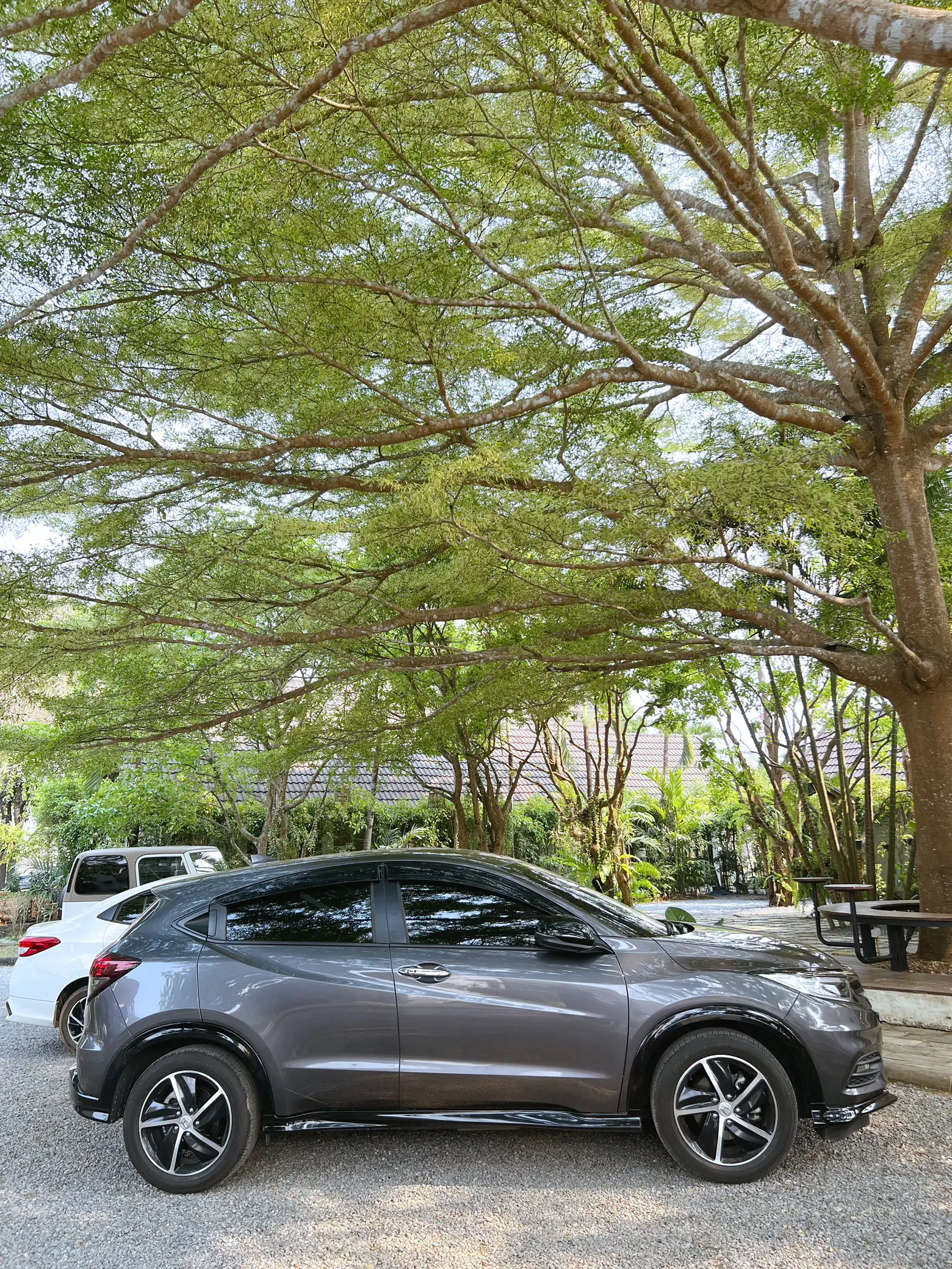 🧸 Baanprajan (บ้านพระจันทร์) 🧸 | แกลเลอรีที่โพสต์โดย mmew.ww | Lemon8