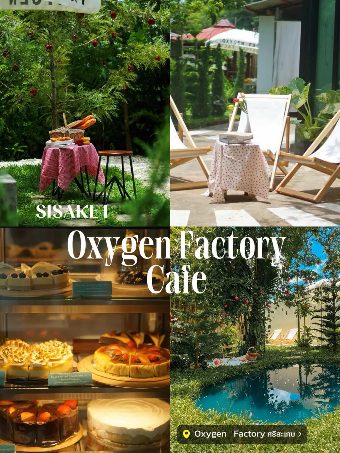 คาเฟ่ในศรีสะเกษมีที่ให้เด็กเล่น - การค้นหาใน Lemon8