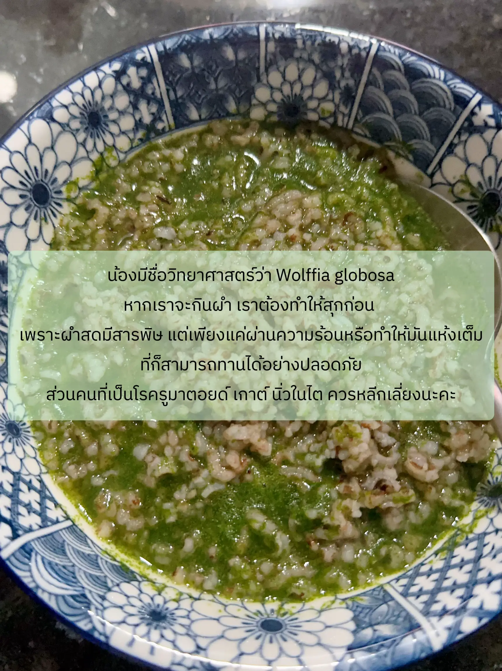 “WOLFFIA” superfood ตัวดัง ประโยชน์จึ้งมาก😍 ทำได้หลายเมนู😋 | แกลเลอรีที่โพสต์โดย .miu | มิว | Lemon8