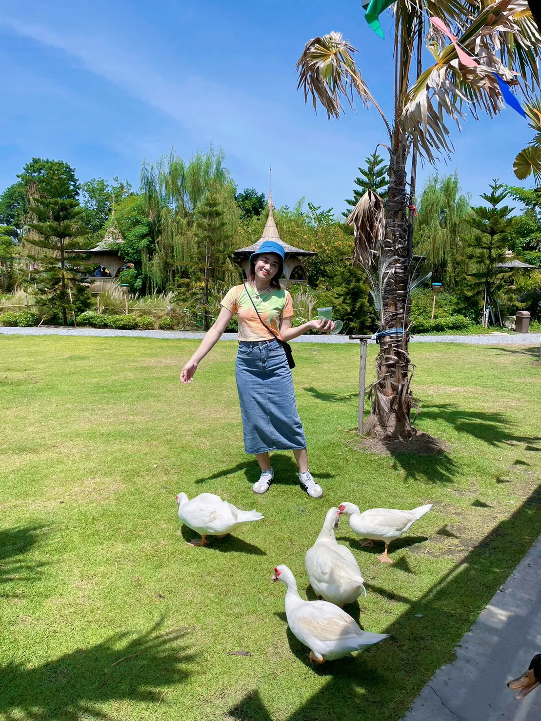 ดั๊กแลนด์ | แกลเลอรีที่โพสต์โดย luck | Lemon8