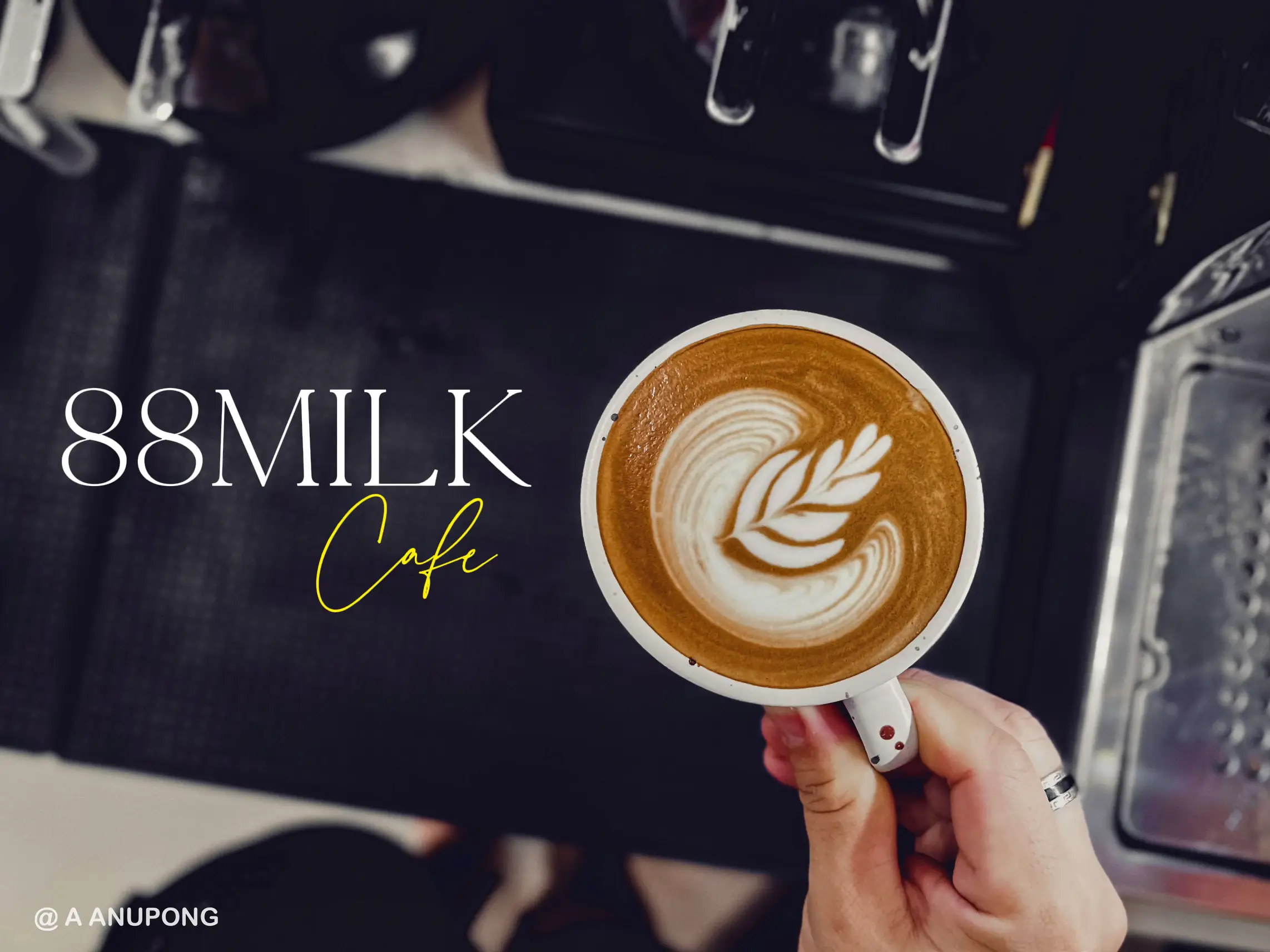 88MILK | แกลเลอรีที่โพสต์โดย A Anupong | Lemon8
