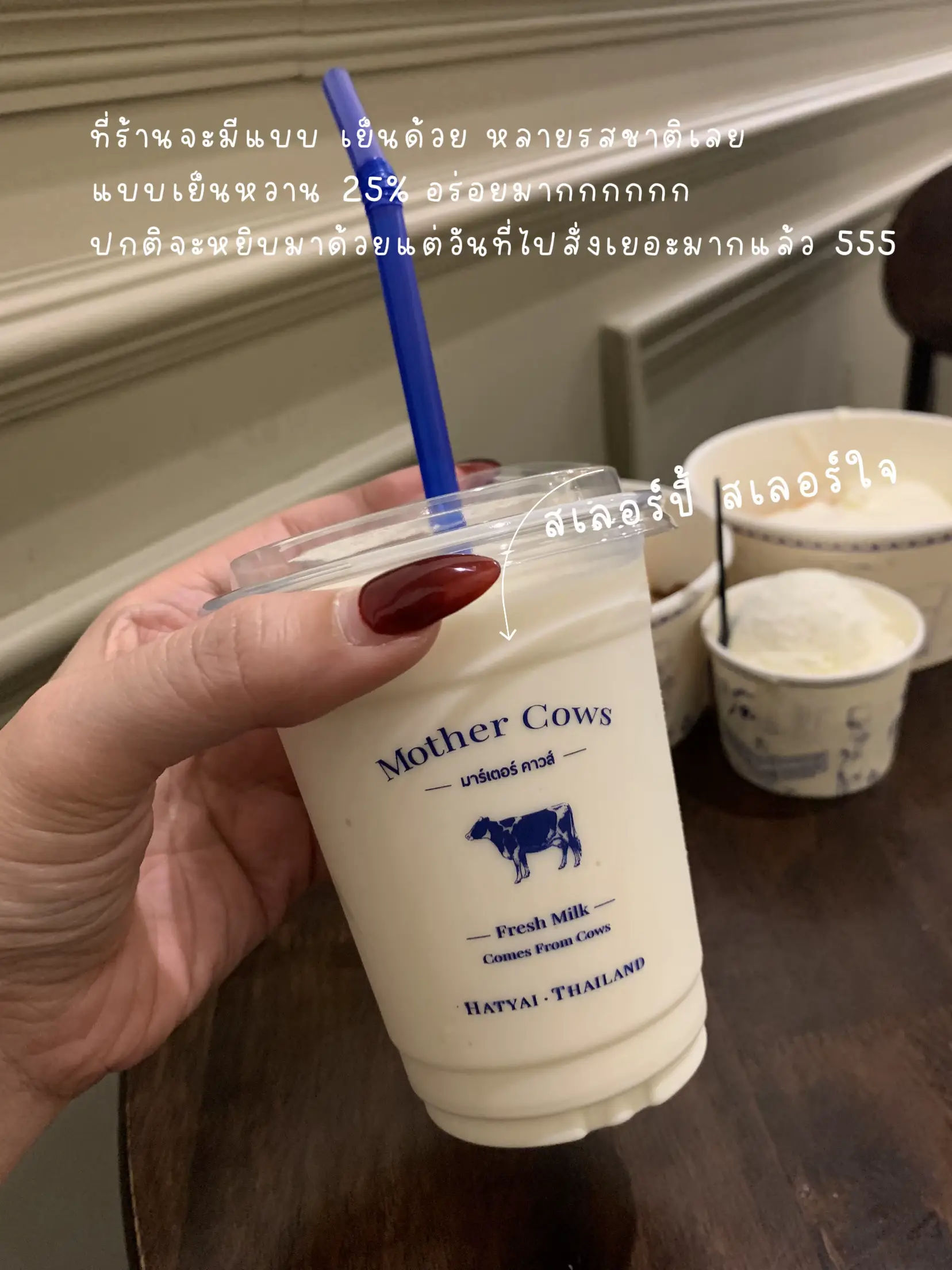 🐮 Mother cows | นมตุ๋น บรรทัดทอง 📍 | แกลเลอรีที่โพสต์โดย Pikk | Lemon8