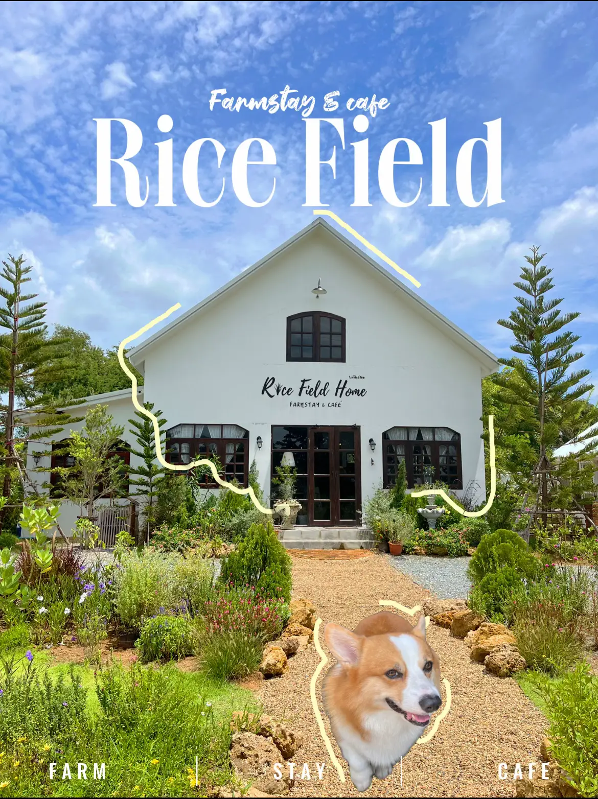Rice Field คาเฟ่สไตล์โฮมมี่ | แกลเลอรีที่โพสต์โดย หนูอยากเที่ยว | Lemon8