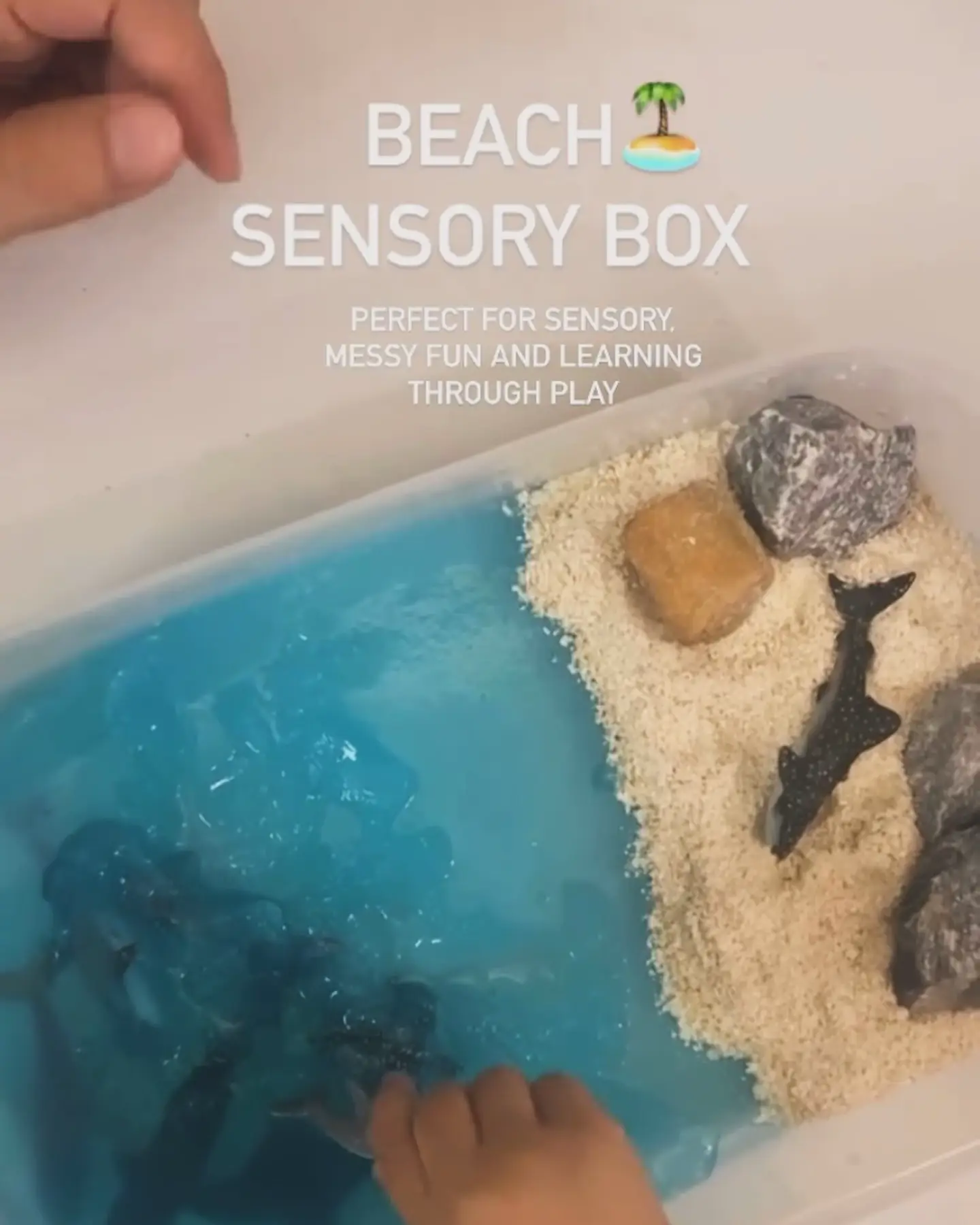กิจกรรม Sensory play “ Beach sensory box “ | แกลเลอรีที่โพสต์โดย ...